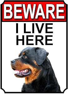 Amazon.com : Tin Sign For Rottweiler Dog Breed Gate Signs Beware I Live ...