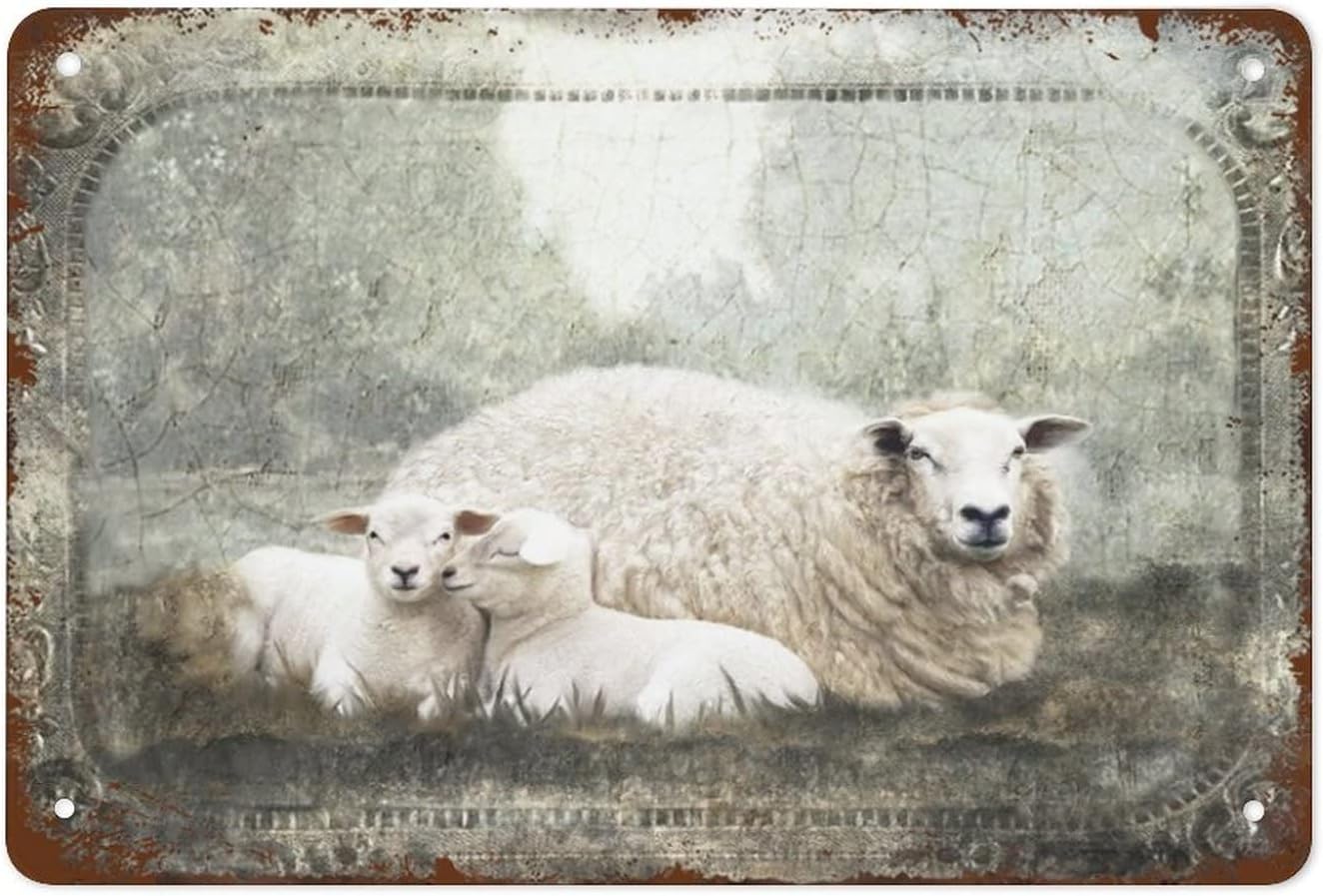 Amazon.com: Metal Tin Retro Sign - Sheep Live Like Someone Left The ...