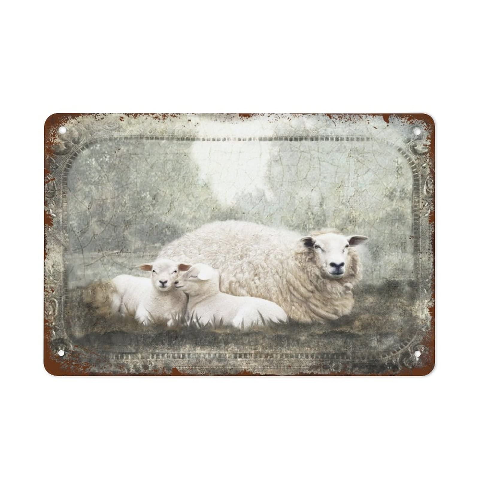 Vintage Sheep Signs Texas Sheep And Goat Raisers Sign Paintings