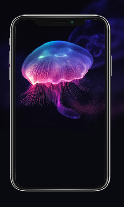 Jellyfish Wallpaper HD:Amazon.co.uk:Appstore for Android