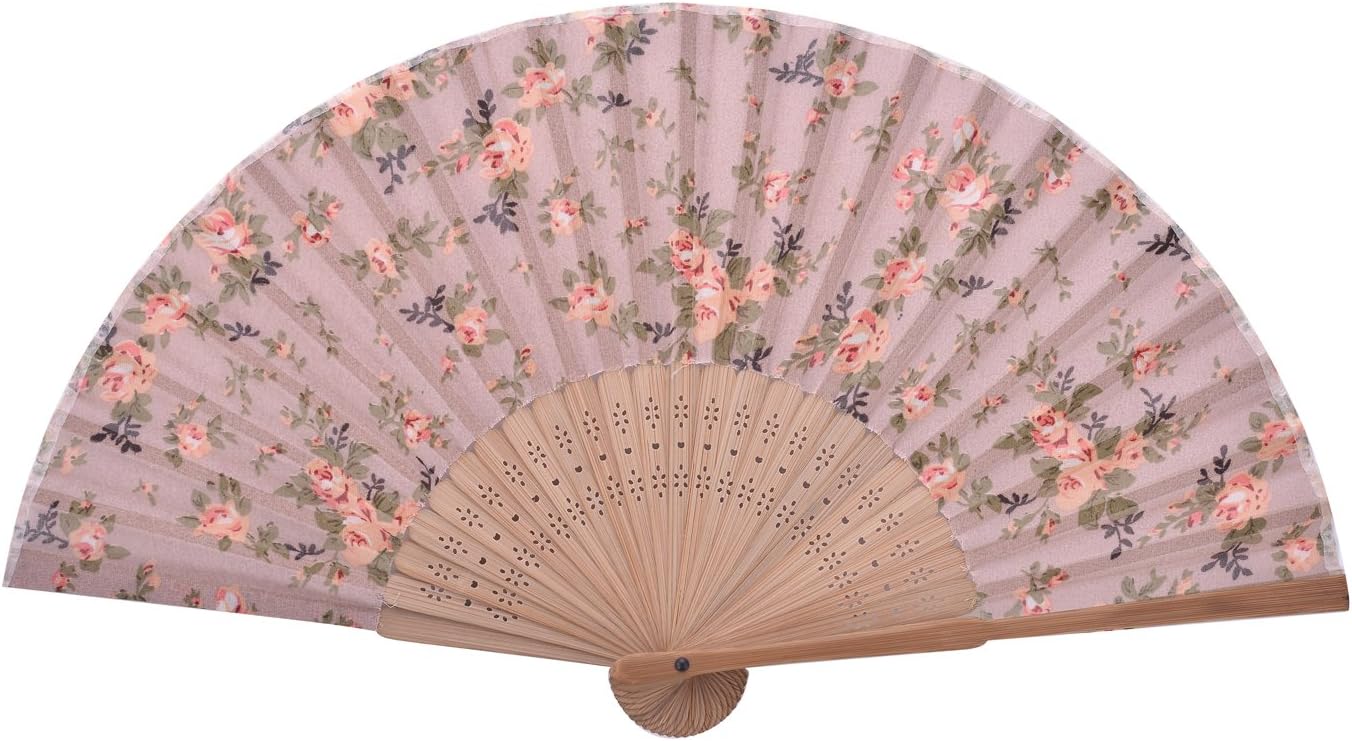 Amazon.com: Folding Hand Fan Transparent Hand Fans Chiffon with ...