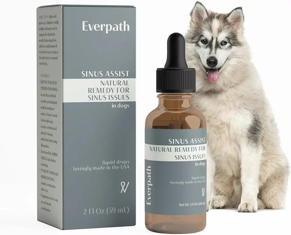 Post-Nasal Drip In Dogs: Causes, Symptoms, And Treatments | PetShun