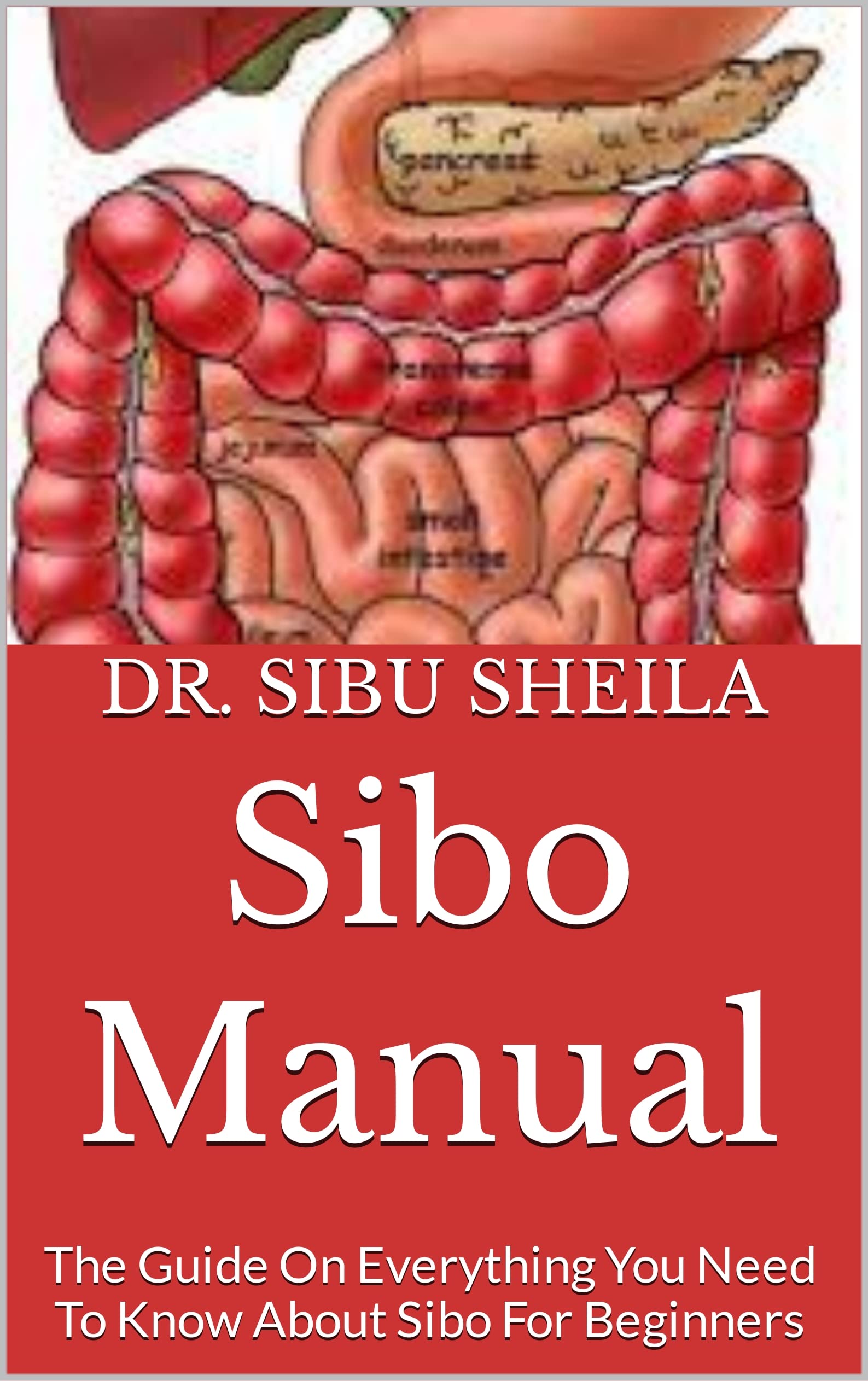 Buy Sibo Manual: The Guide On Everything You Need To Know About Sibo ...