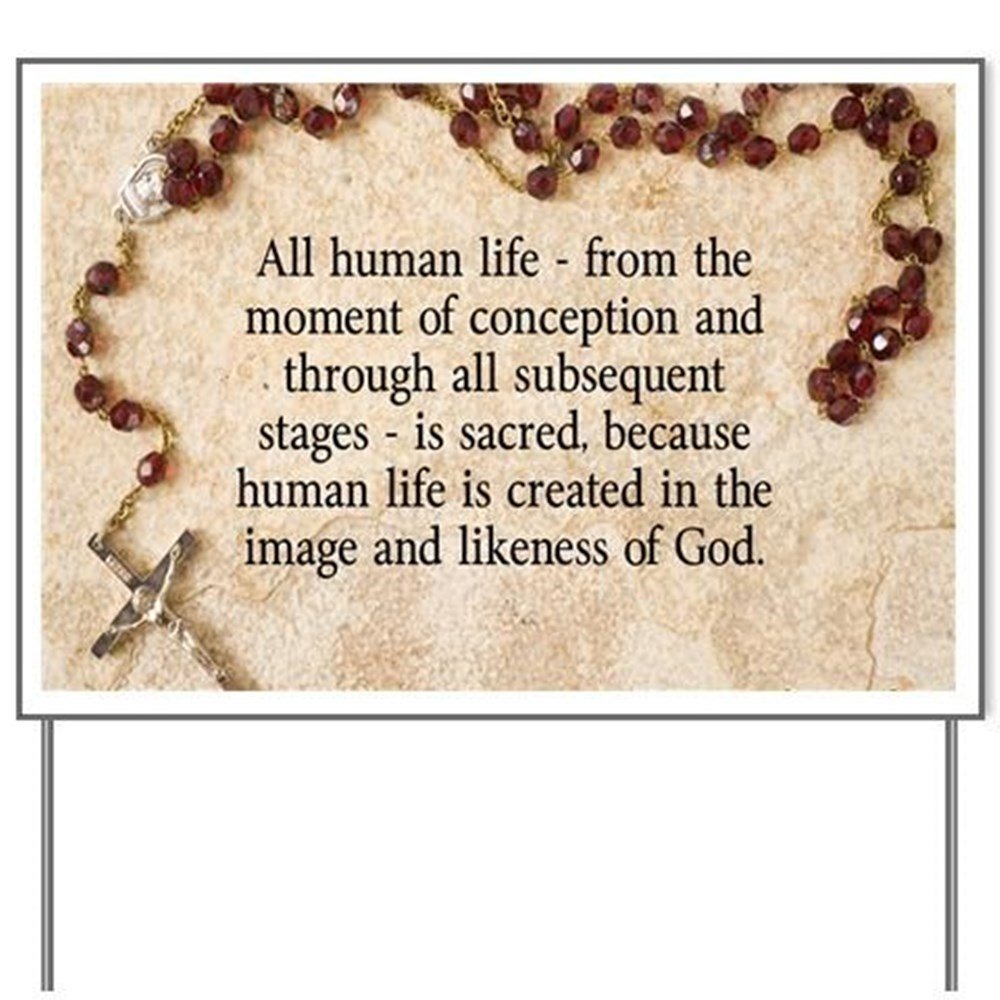 Pro Life Slogans They Say I Have A Choice So I Choose Life Pro Life