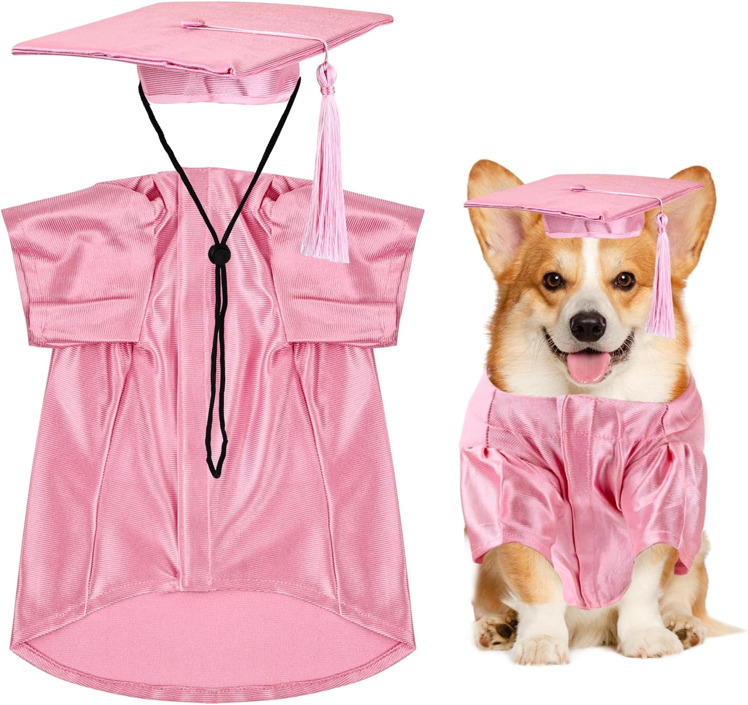 Amazon.com : Dog Graduation Cap and Gown, Dogs Cats Graduation Holiday ...