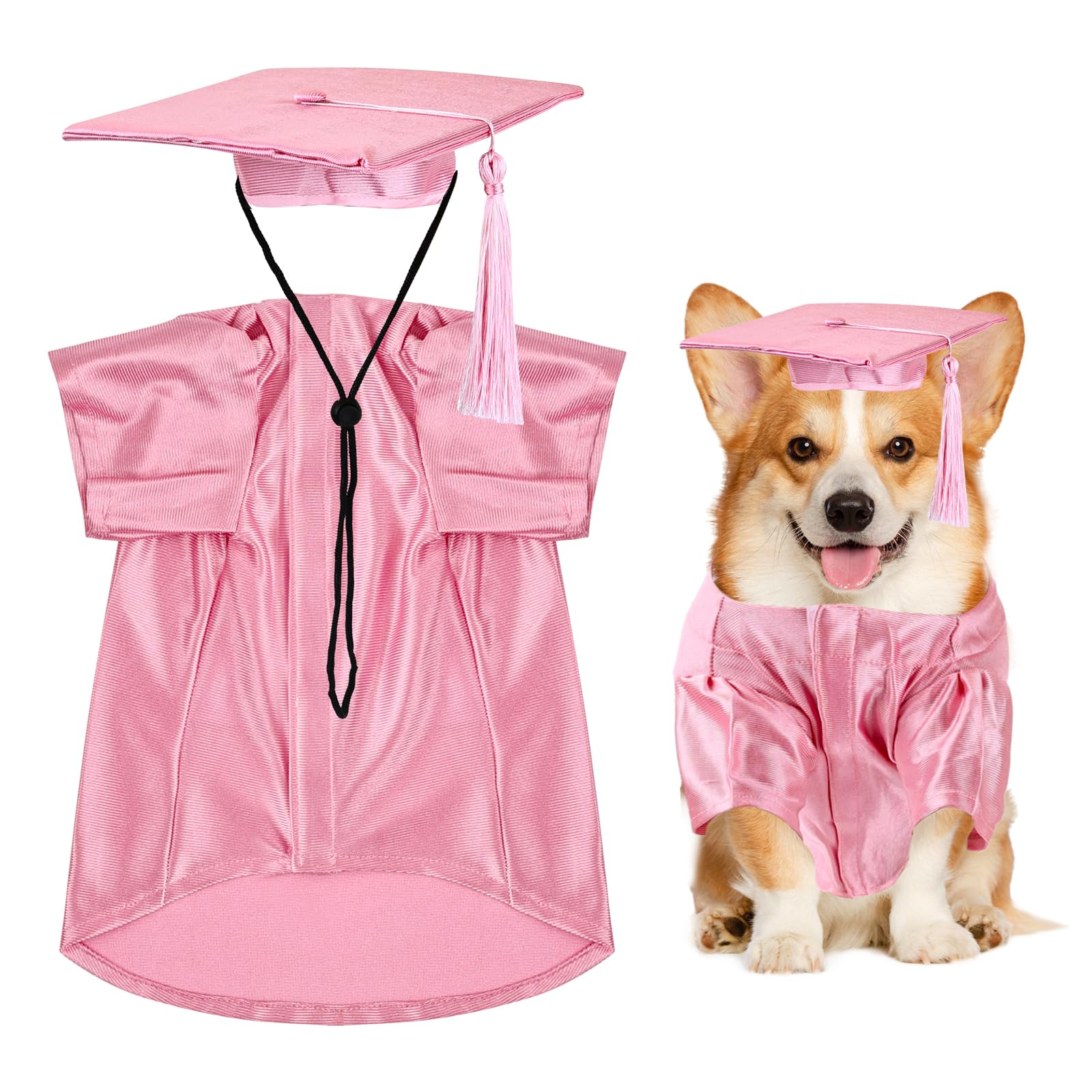 Amazon.com : Dog Graduation Cap and Gown, Dogs Cats Graduation Holiday ...