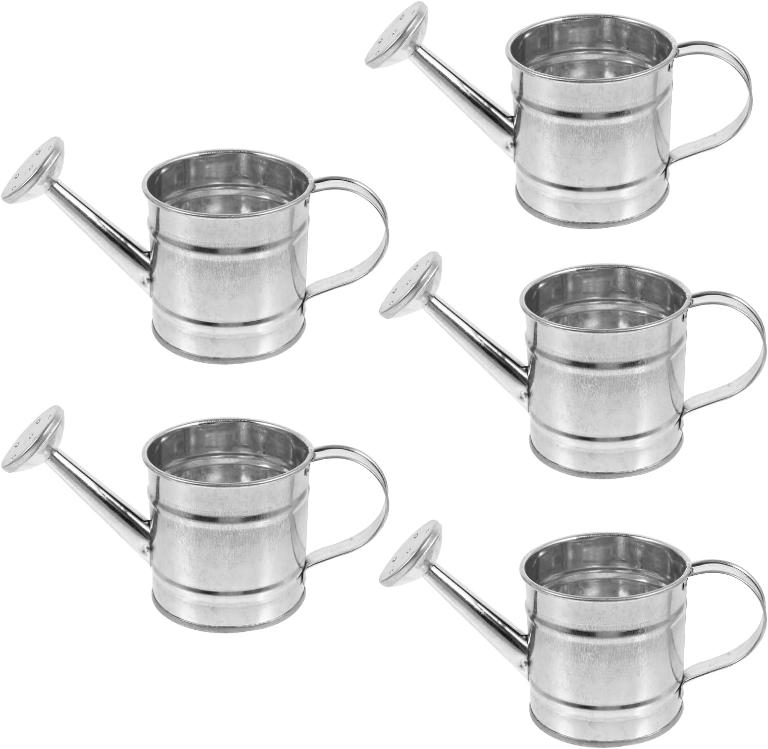 Amazon.com: Fun Express Mini Watering Can Tabletop Decorations - 12 ...