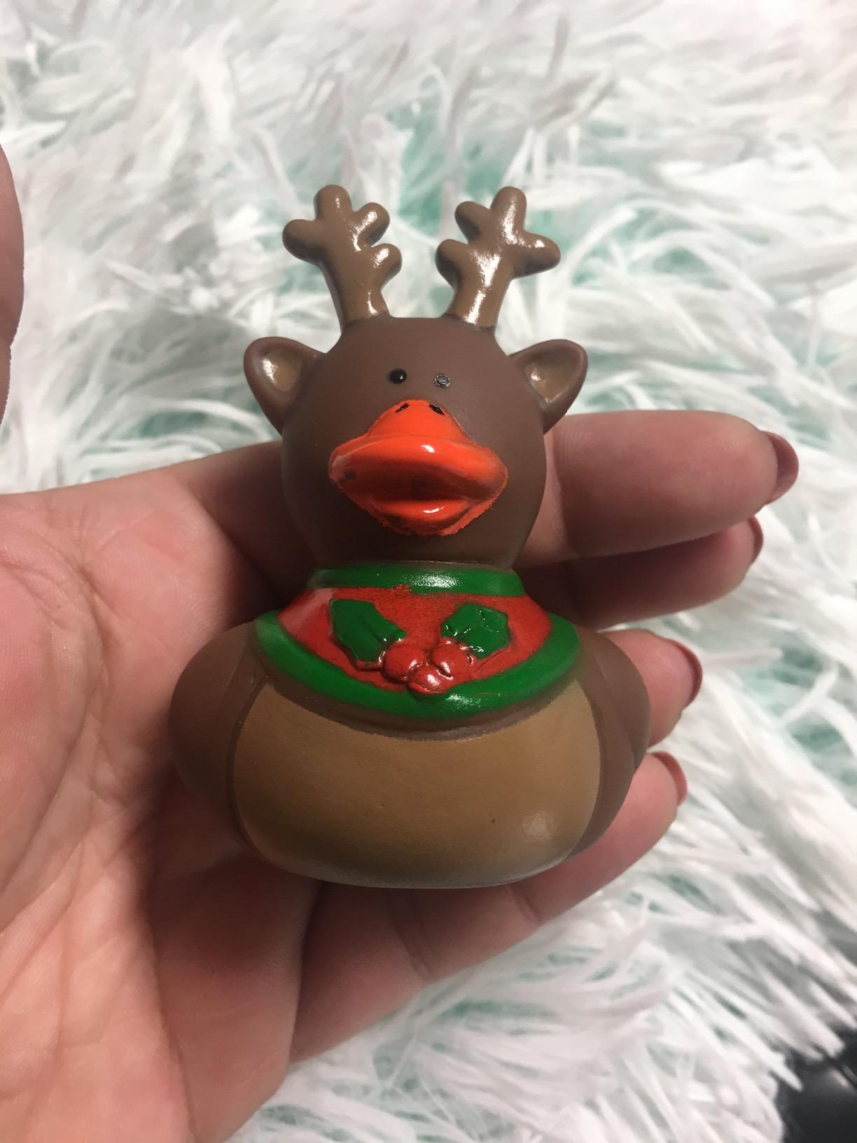 Amazon.com: Reindeer Rubber Ducks - Set of 9 - Christmas Toys and ...