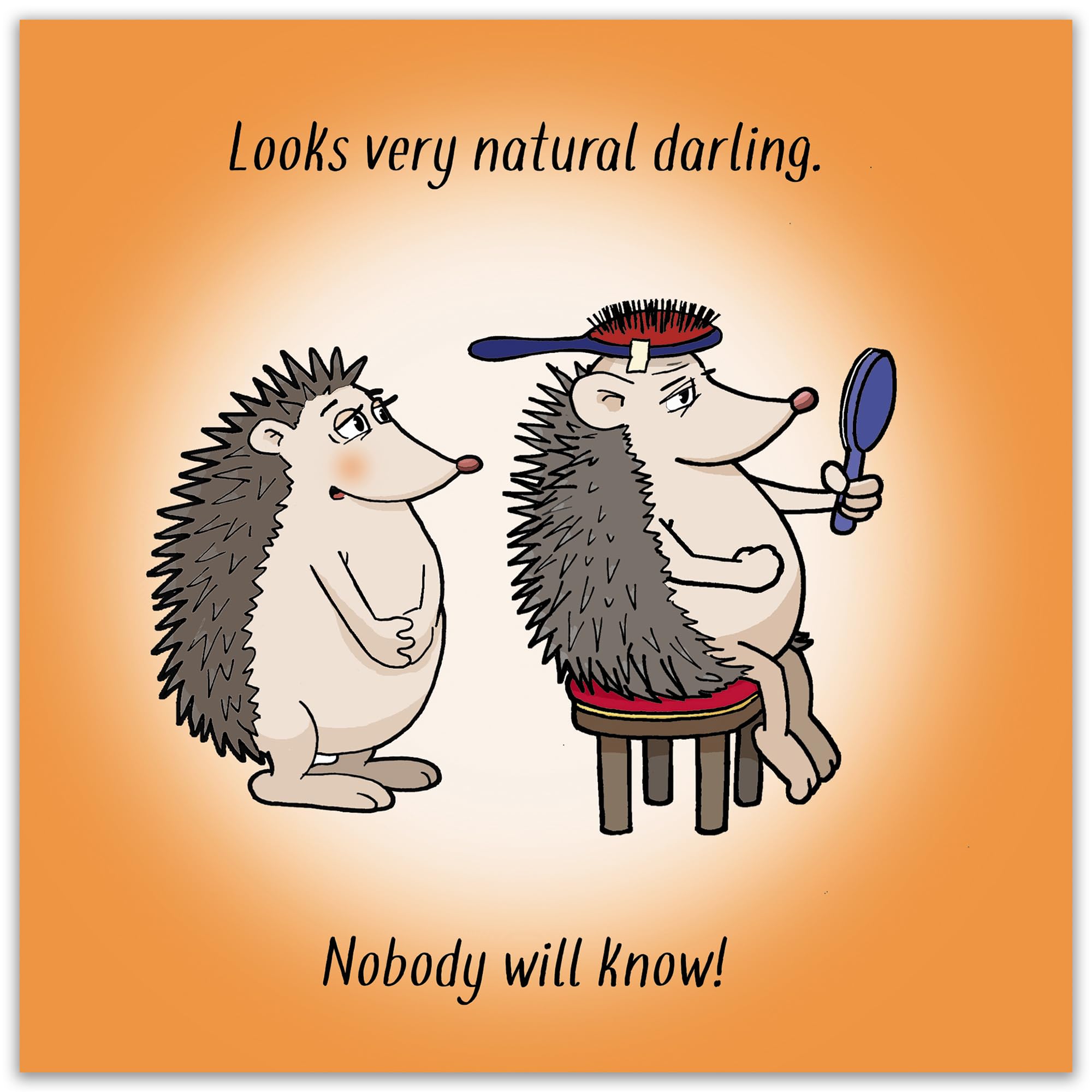 Hedgehog With Captions Funny Photos
