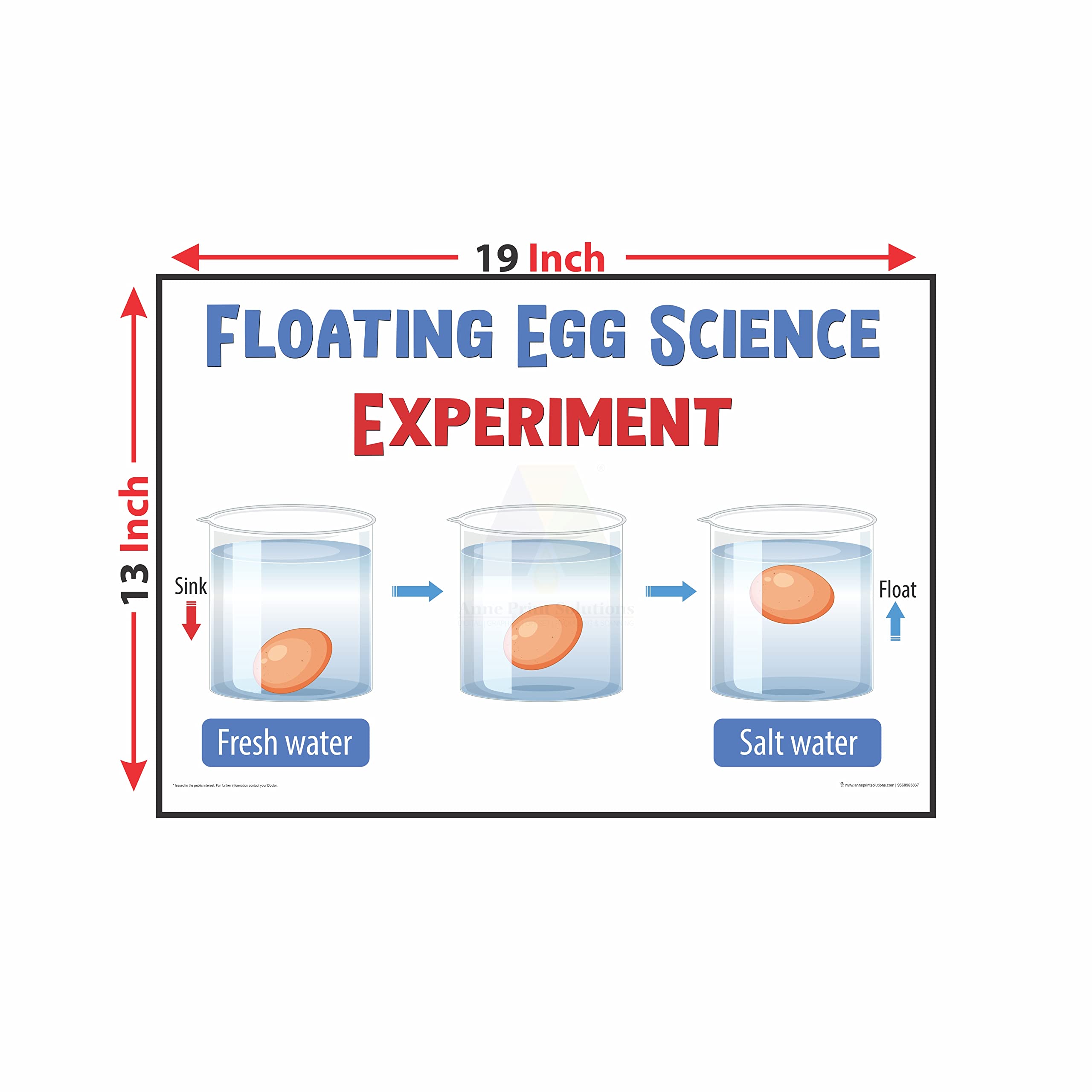 Egg Flotation Chart Sink Or Float Easter Egg Science Experiment