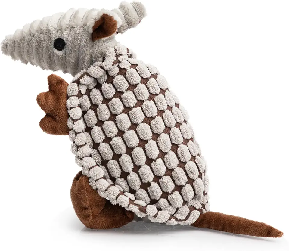 Armadillo Risks For Dogs: Can They Cause Harm? | PetShun