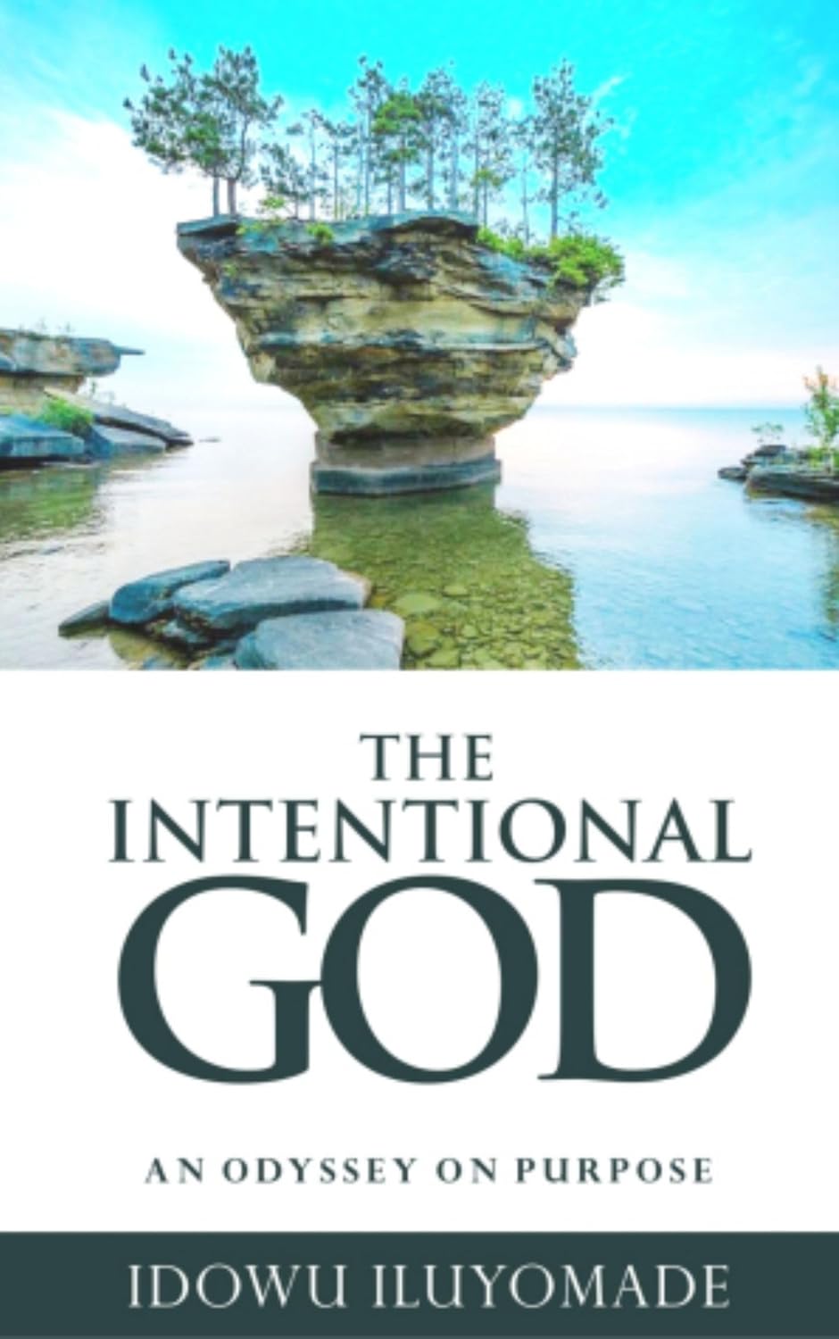 Amazon.com: The Intentional God: An Odyssey on Purpose eBook ...