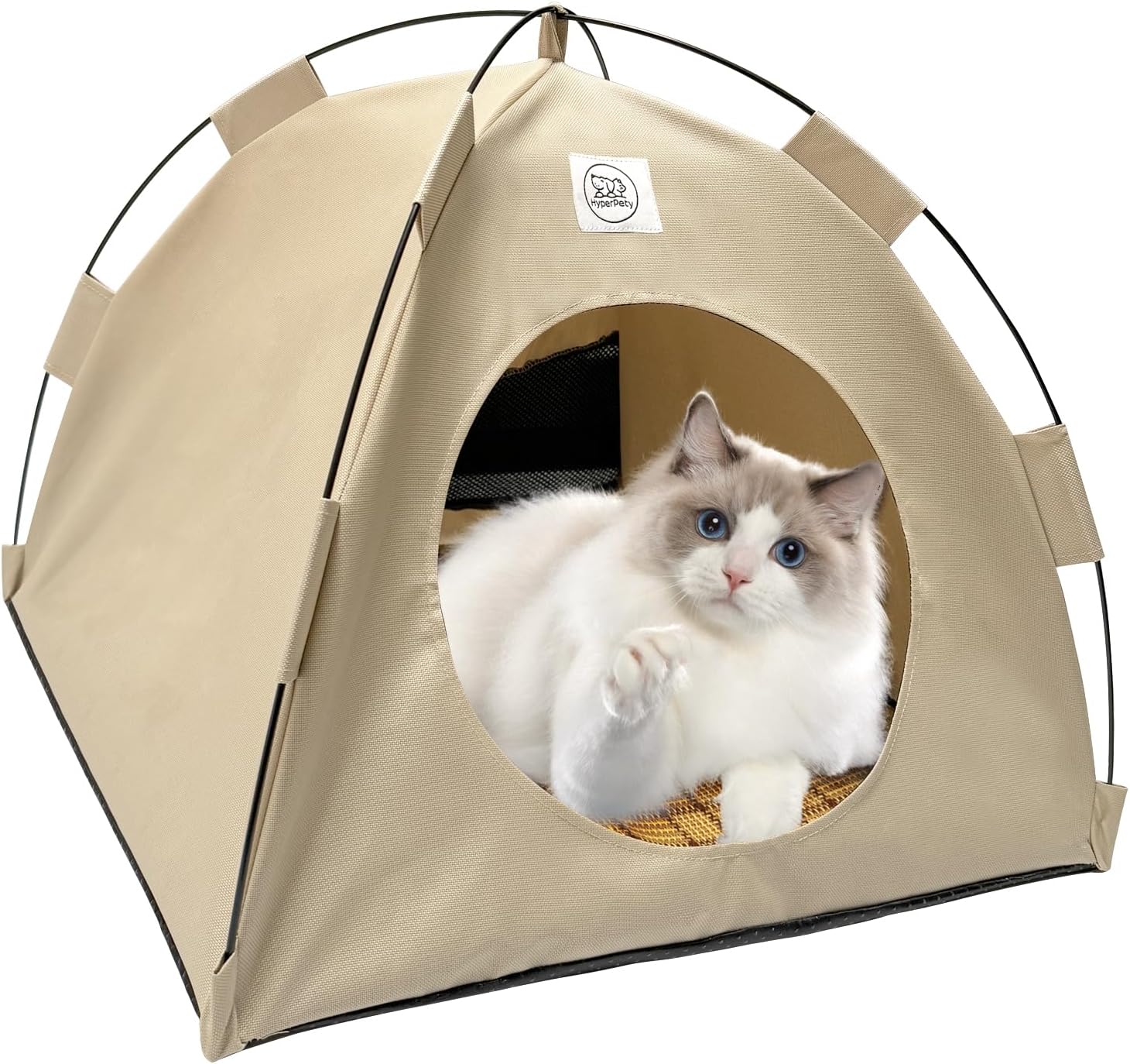 Amazon.com : Cat House Cave for Indoor Samll Dog Bed Tent Hideaway ...