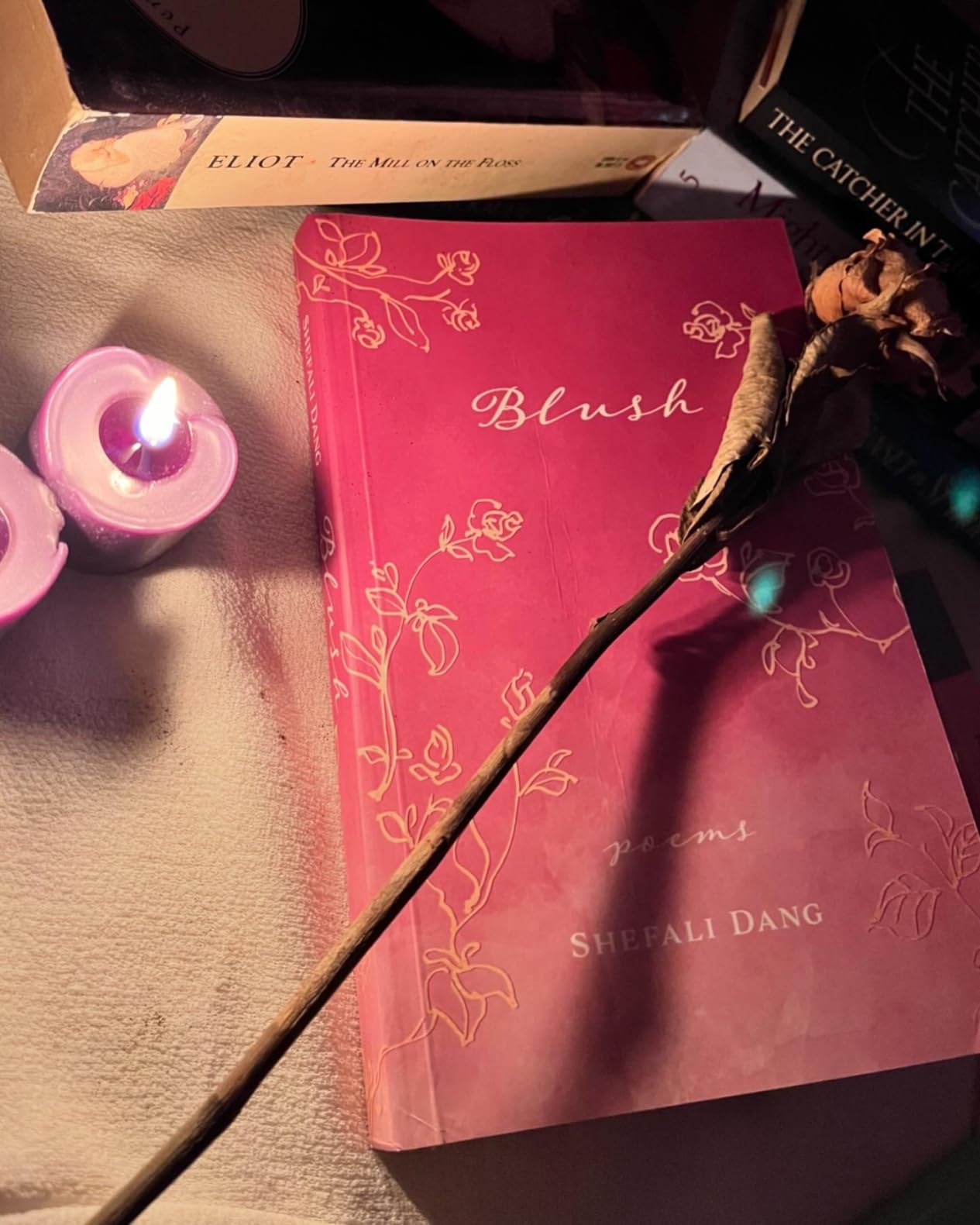 Buy Blush Book Online at Low Prices in India | Blush Reviews & Ratings ...