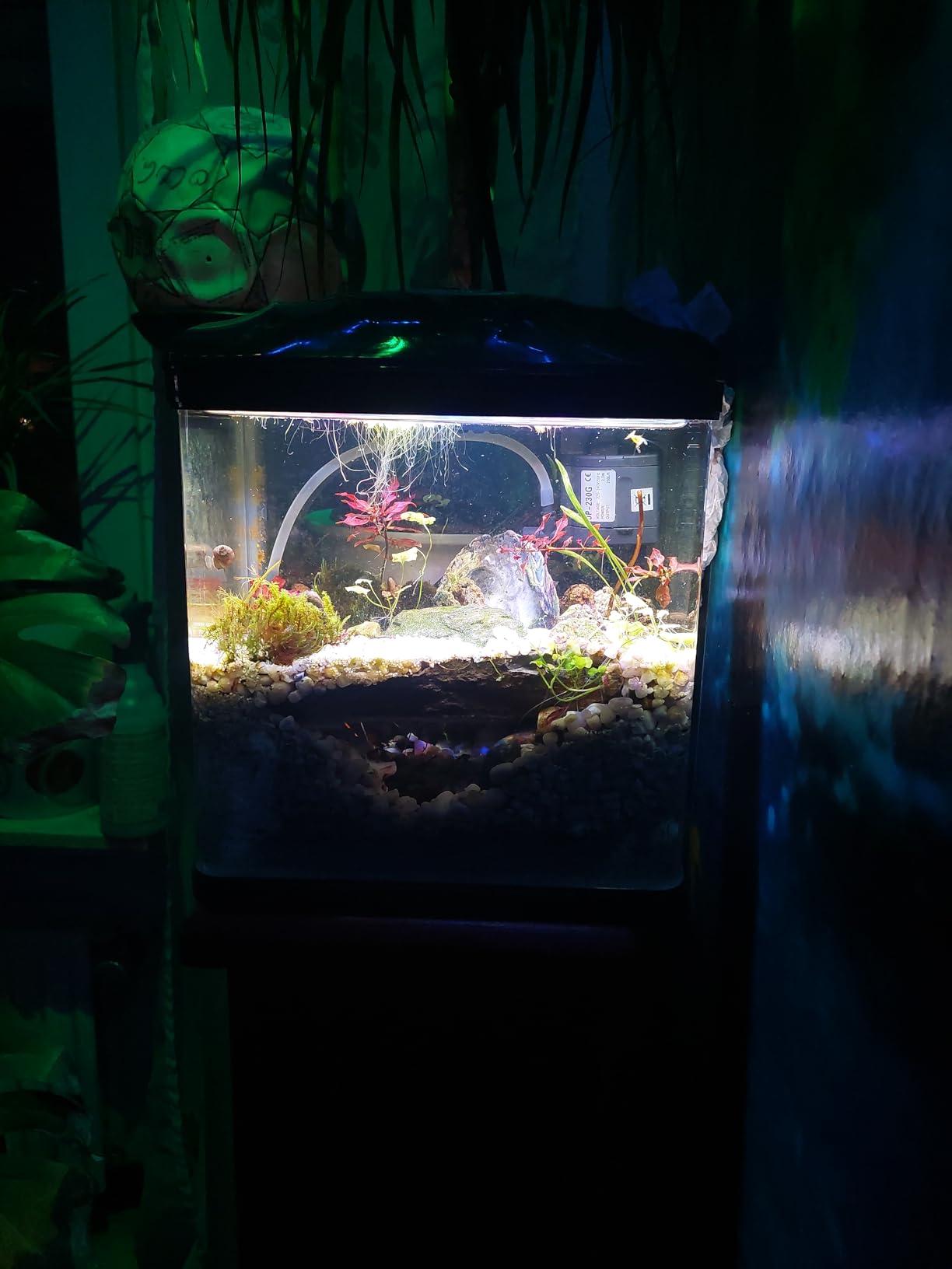 Mini Welse Fur Nano Becken