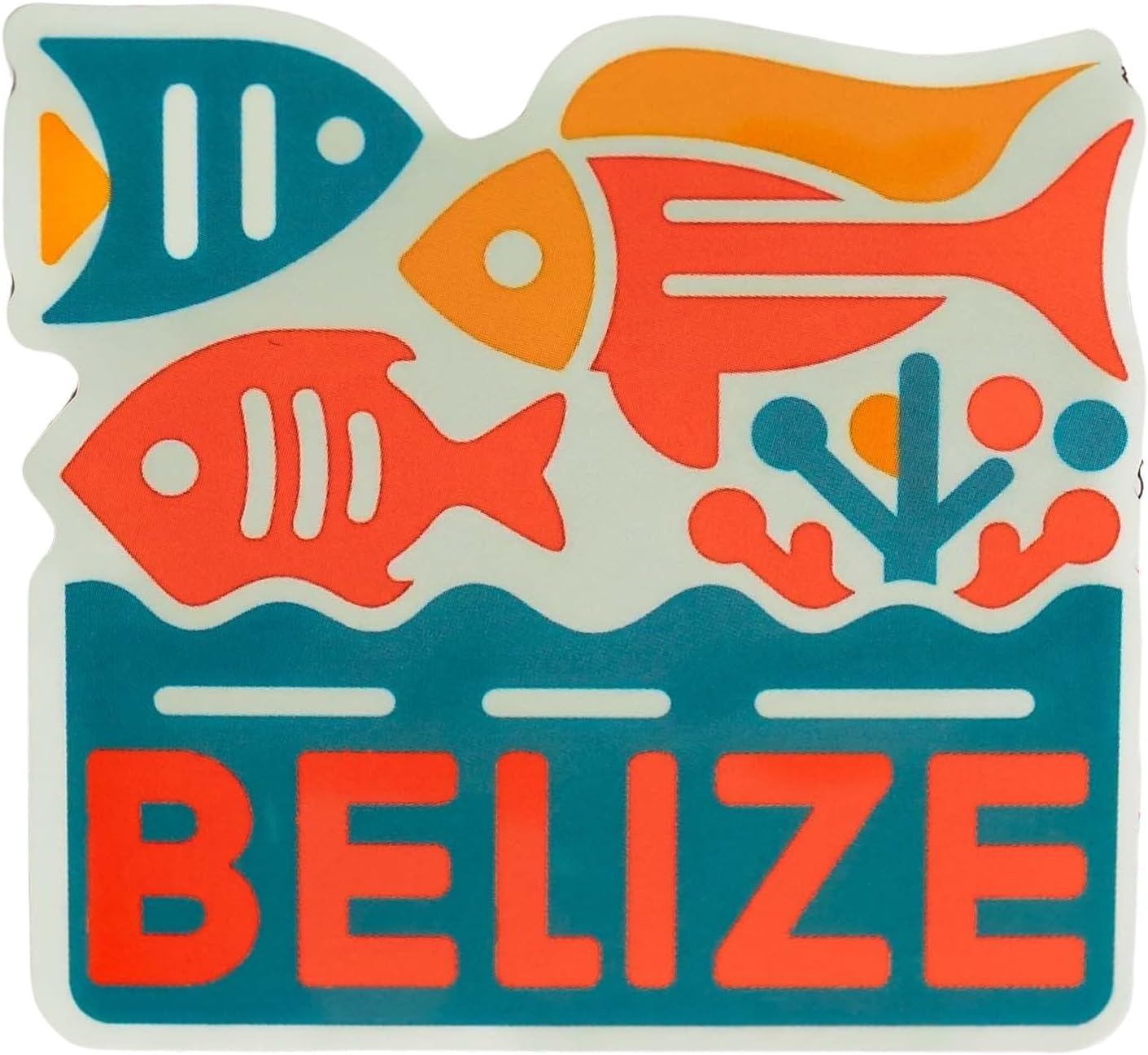 Amazon.com - Squiddy Roatan Honduras - Vinyl Sticker Decal for Phone ...