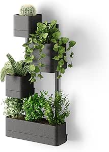 Umbra Cubiko - Maceta de Pared, Color Negro : Amazon.com.mx: Hogar y Cocina