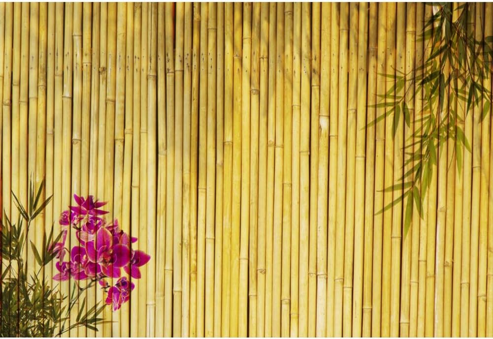 Amazon.com : CSFOTO 10x8ft Lunar New Year Bamboo Backdrop Bamboo Party ...
