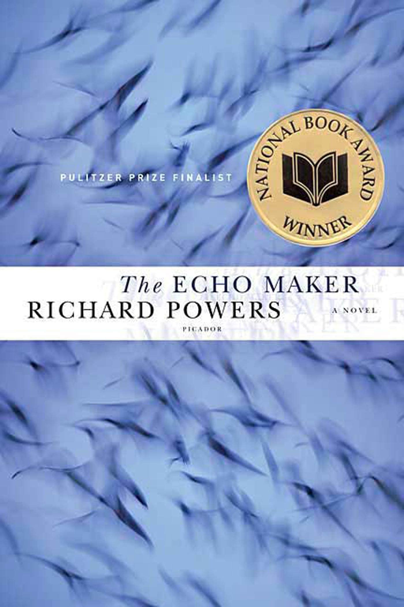 Amazon.com: The Echo Maker: 9780312426439: Powers, Richard: Books