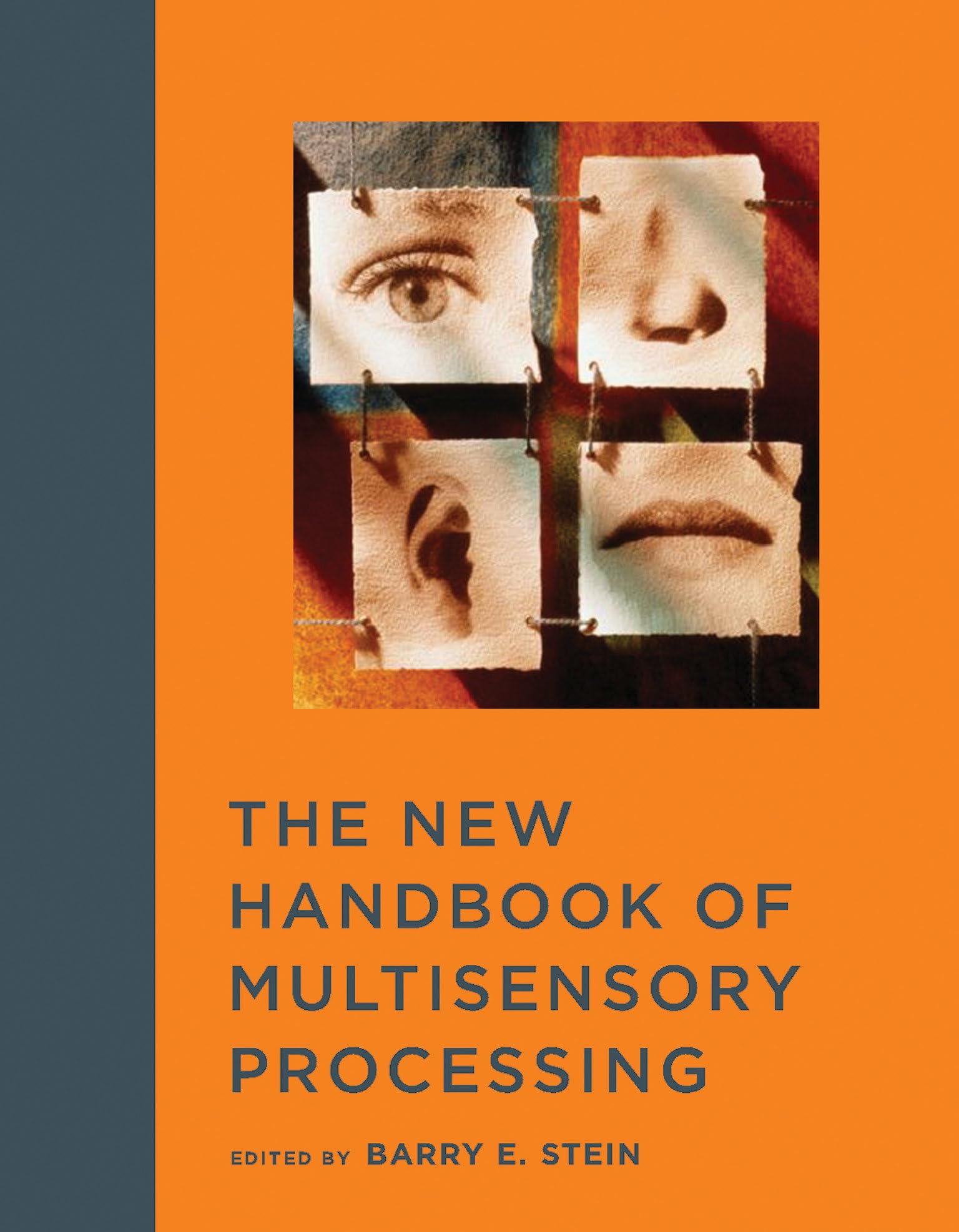The New Handbook of Multisensory Processing: 9780262017121: Medicine ...