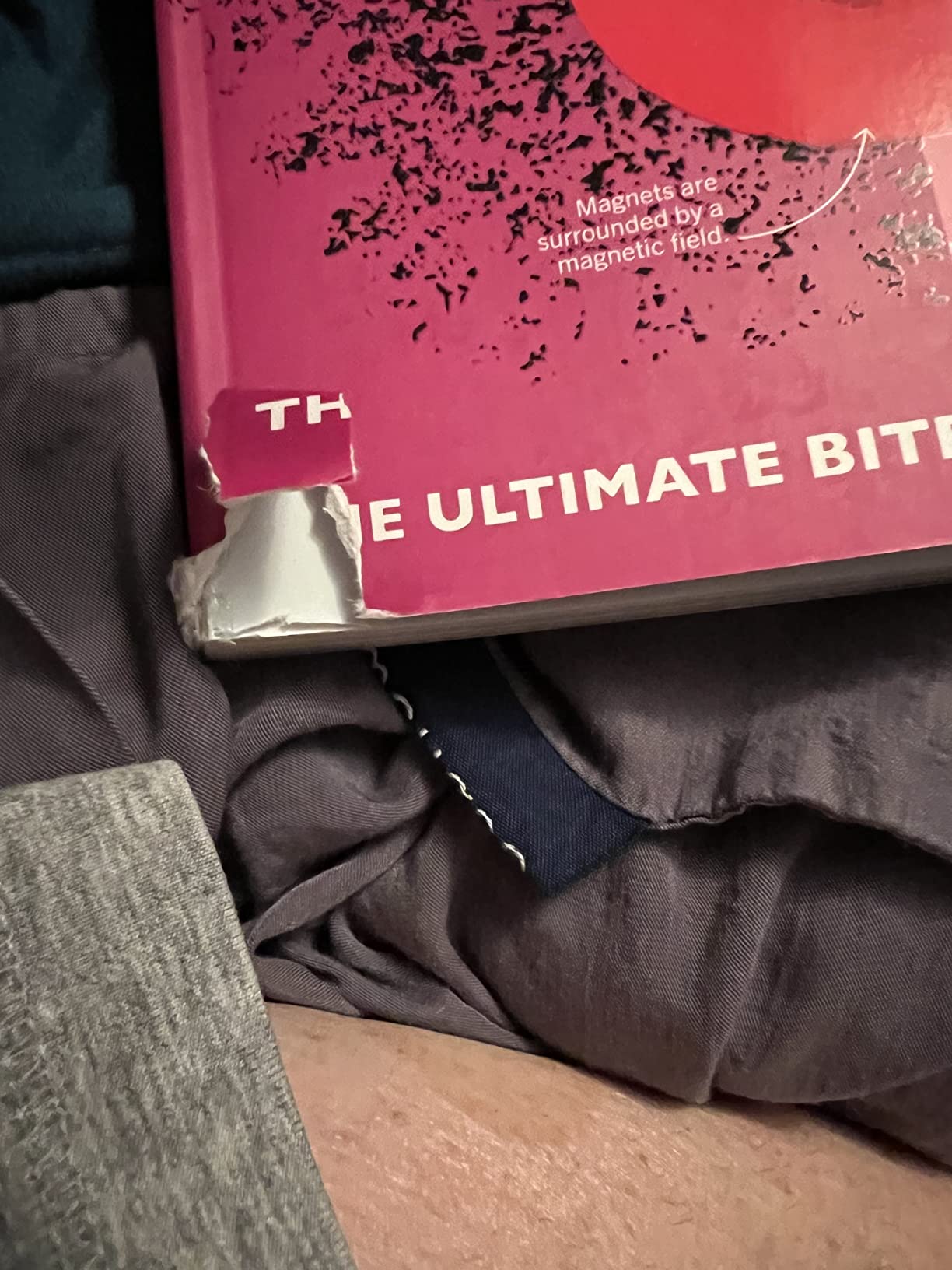 Amazon.com: Super Simple Physics: The Ultimate Bitesize Study Guide (DK ...