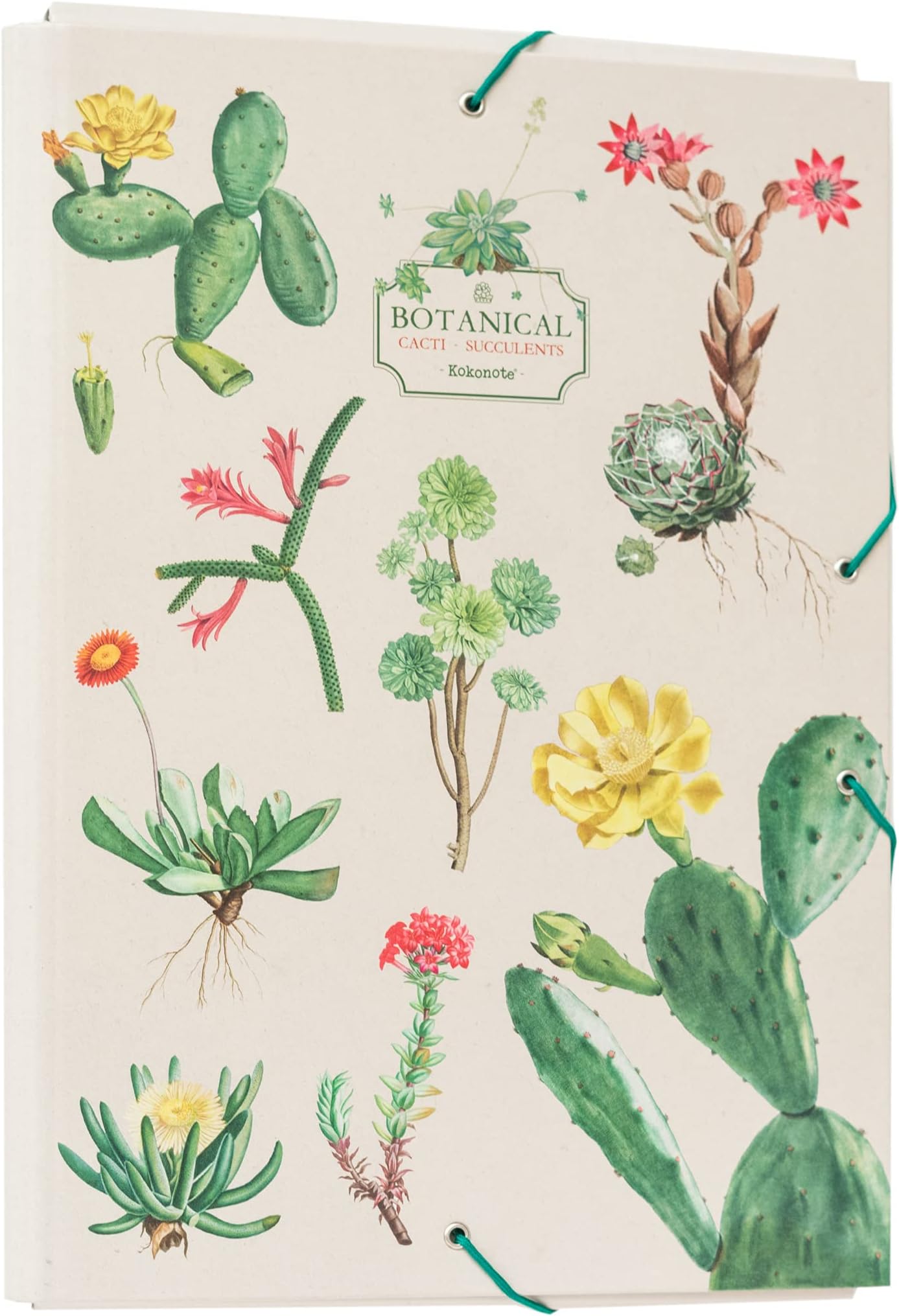 Official Pusheen The Cat Polypropylene A4 Premium Folder - 13.4 x 10 inches / 34 x 25.5 cm ...