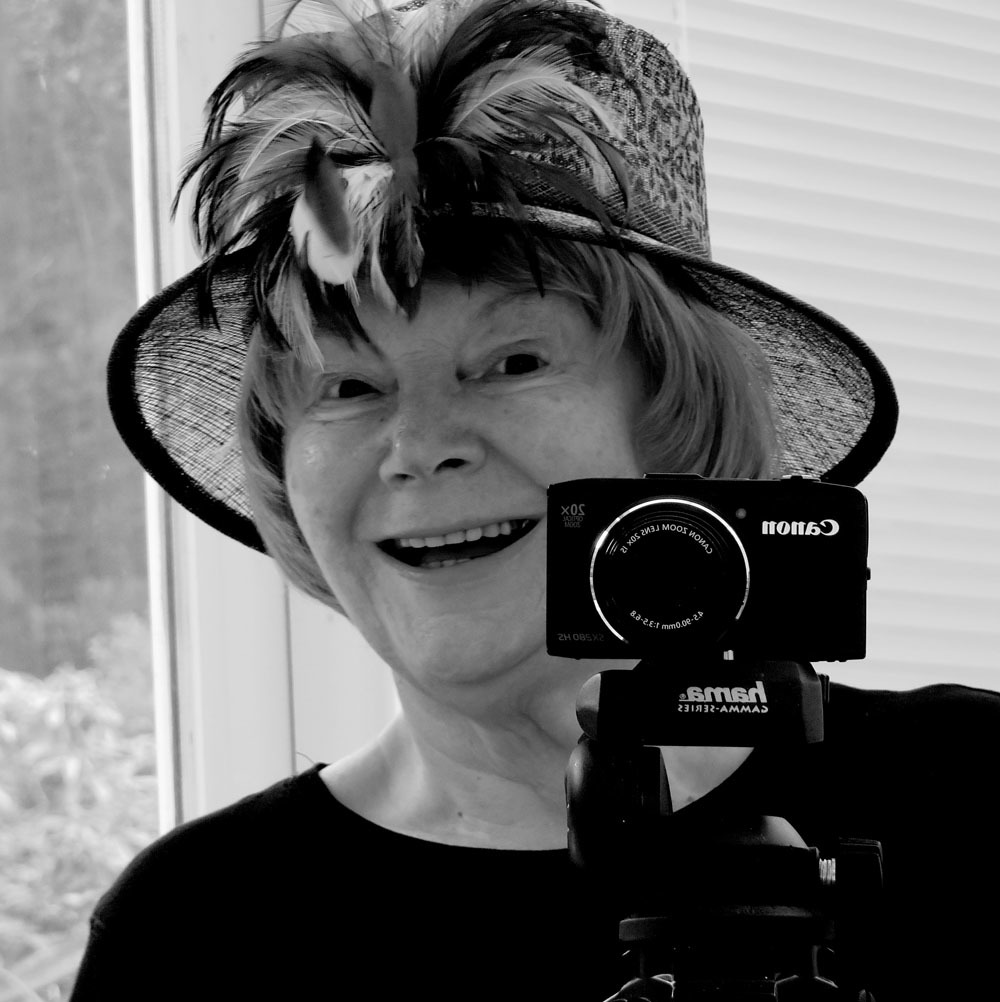Amazon.co.uk: Ann Shaw: books, biography, latest update