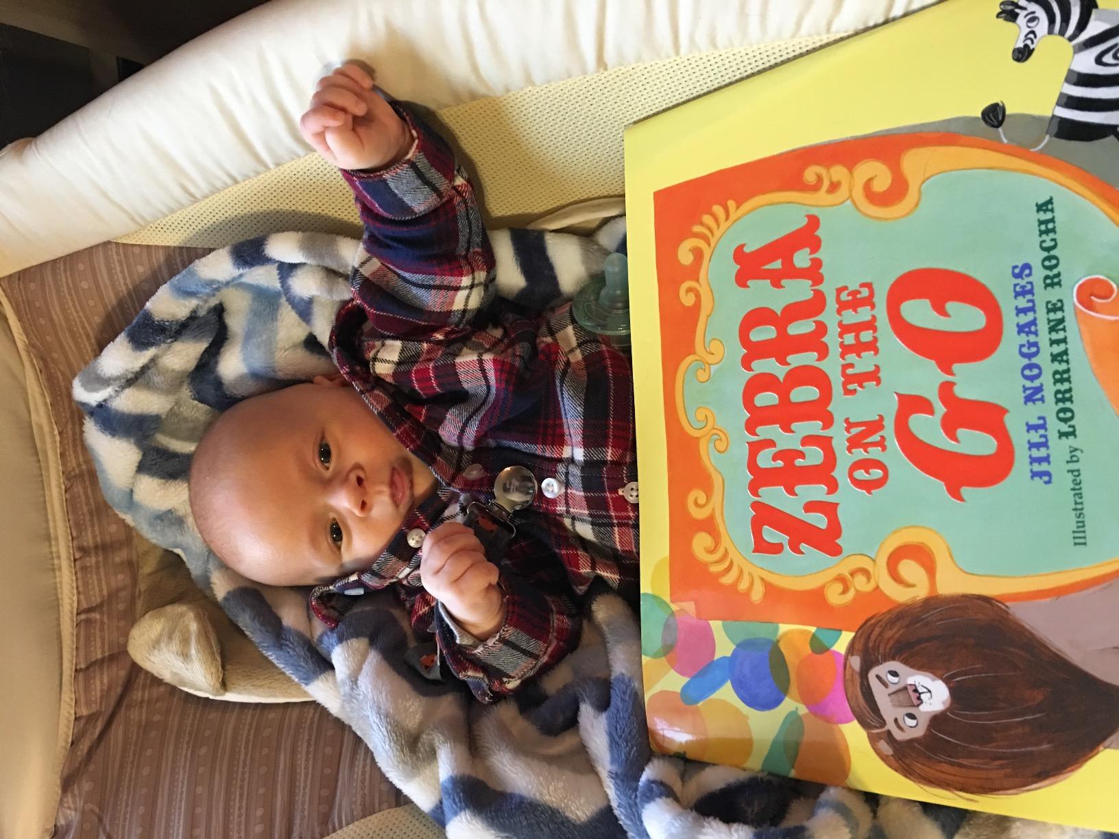 Amazon.com: Zebra on the Go: 9781561459117: Nogales, Jill, Rocha ...