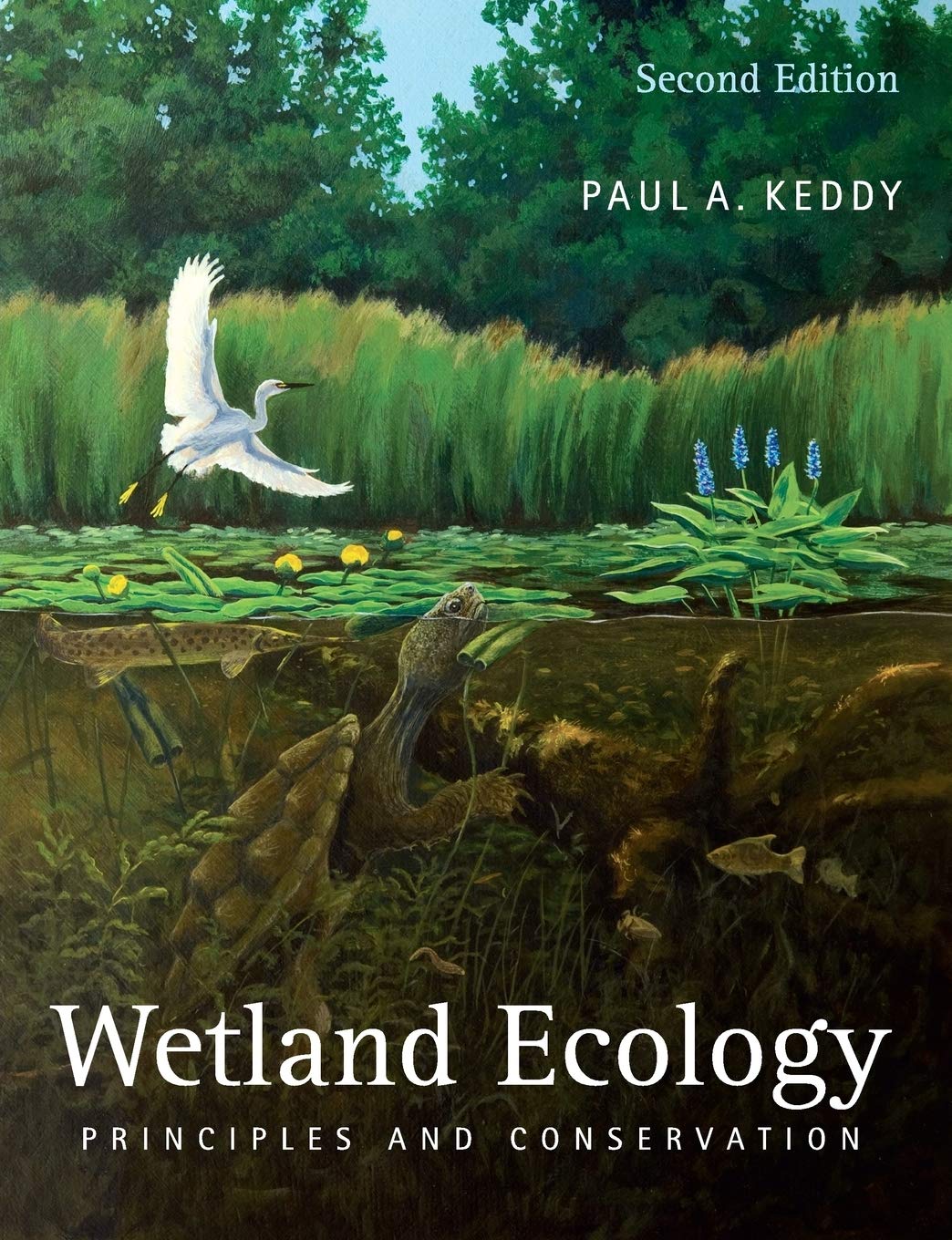 Wetland Ecology: Principles and Conservation: Keddy, Paul A ...
