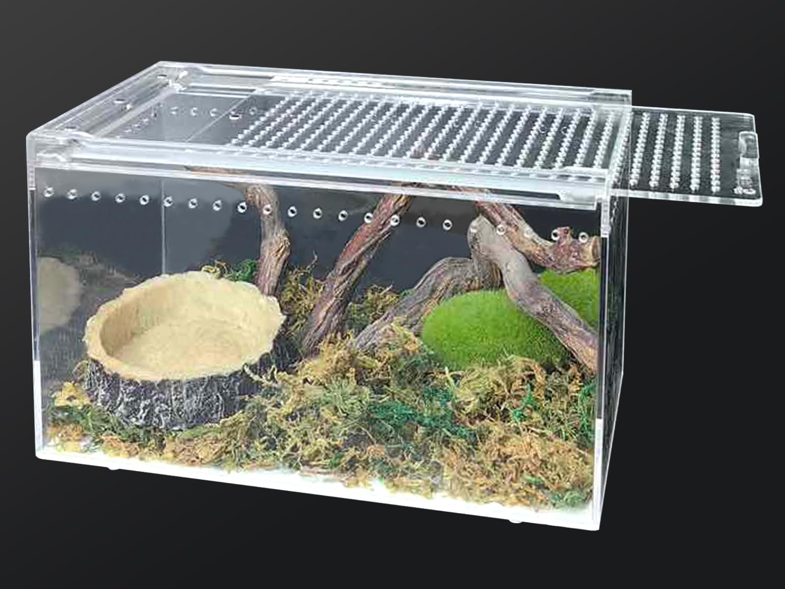 Amazon.com : 13 * 10 * 7.5cm Feeding Box Acrylic Reptile Breeding Box ...