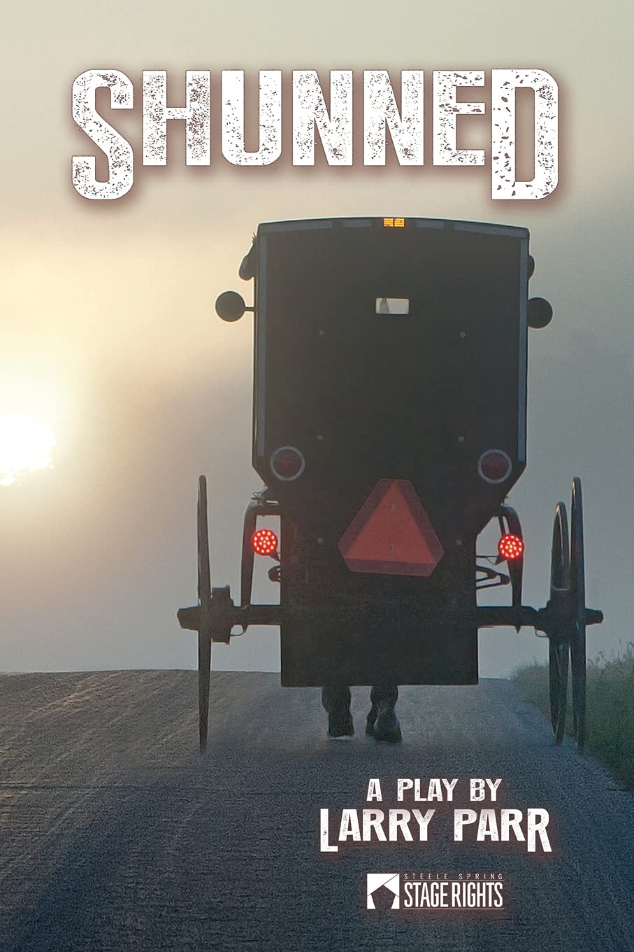 Shunned: Parr, Larry: 9781647230180: Amazon.com: Books