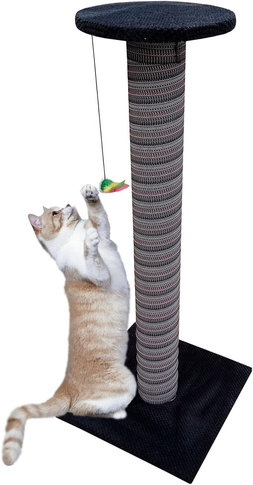 Smart Cat The Ultimate Scratching Post : Amazon.co.uk: Pet Supplies