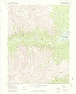 Amazon.com : YellowMaps Mount Elbert CO topo map, 1:24000 Scale, 7.5 X ...