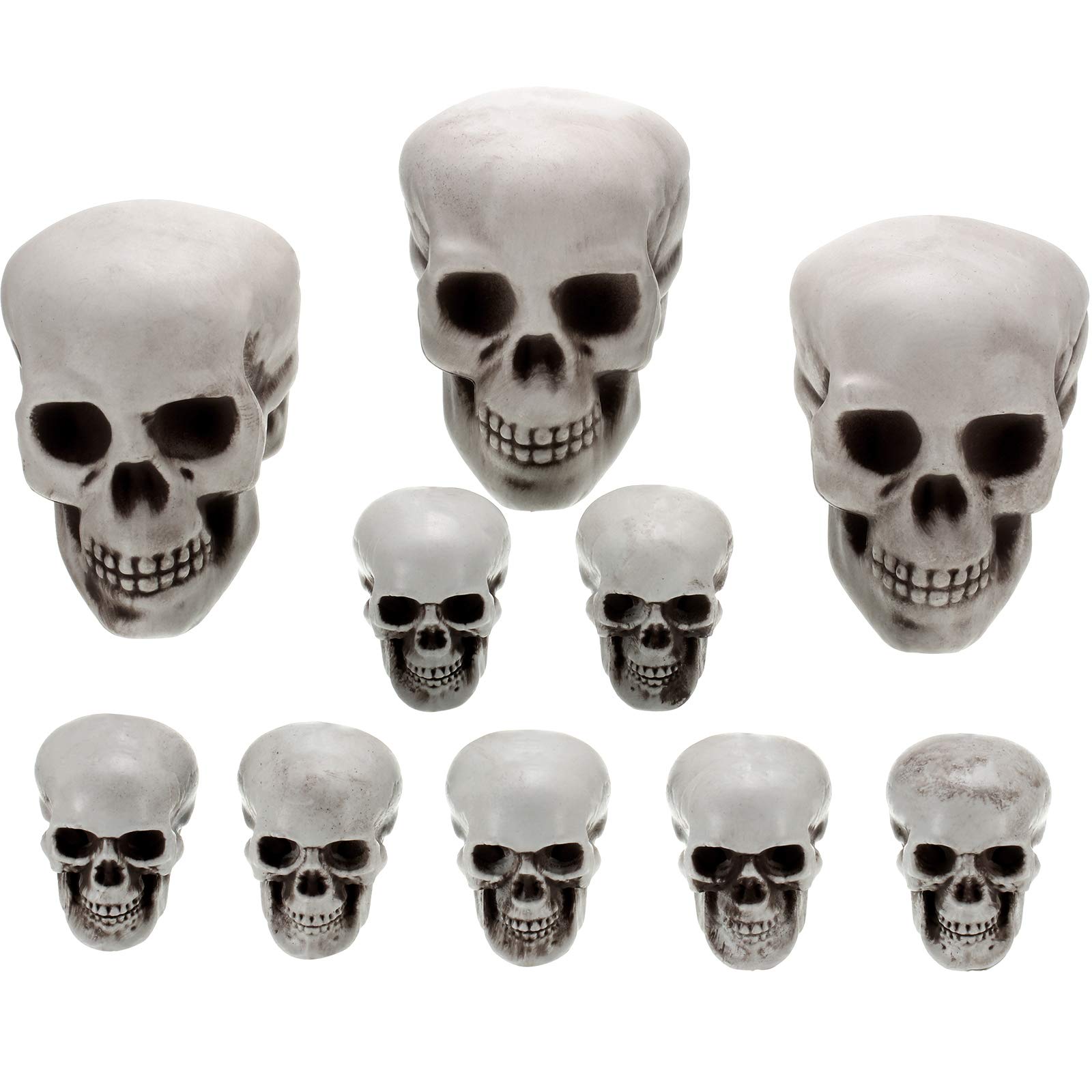 Halloween Skeleton Head