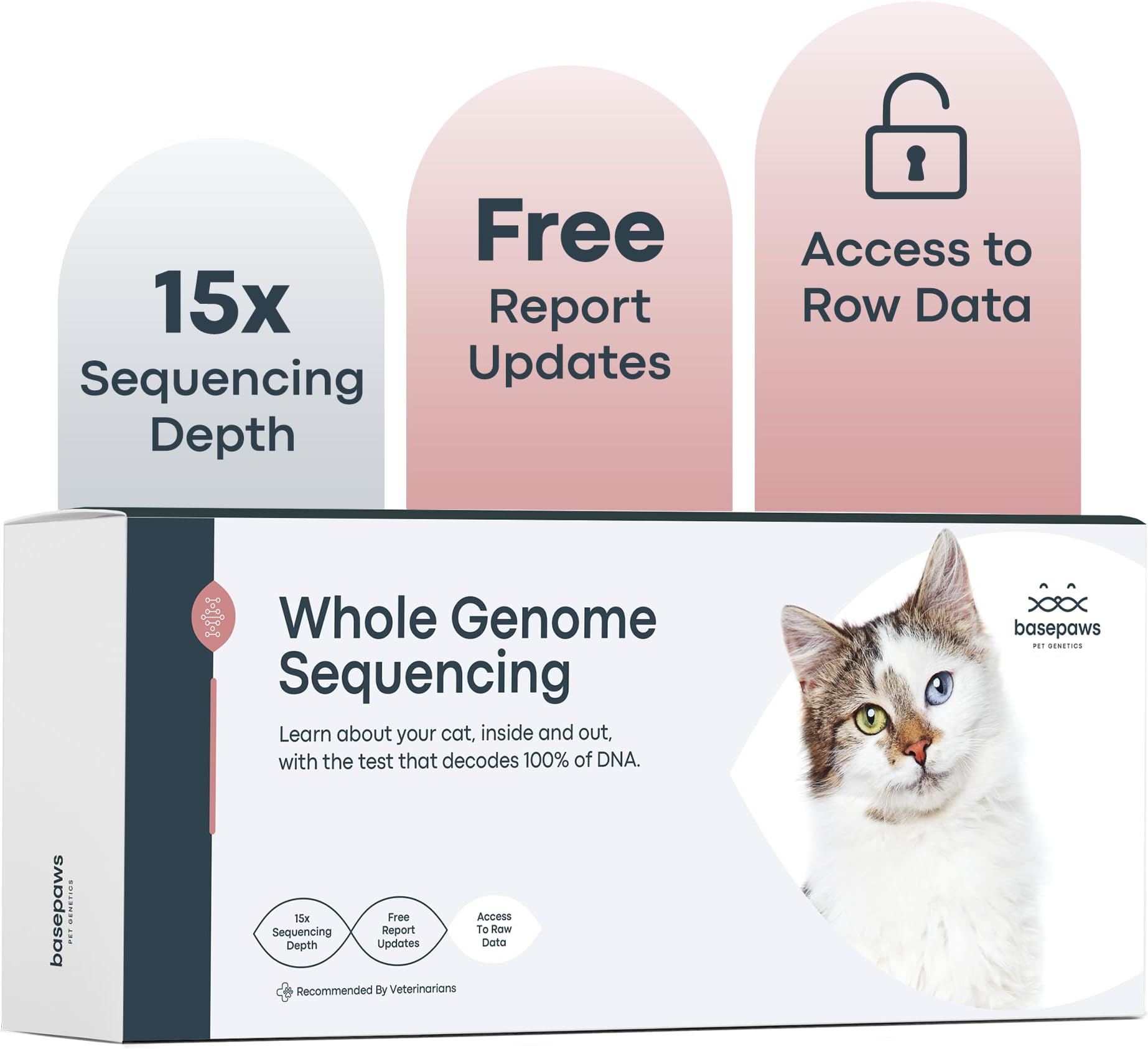 Amazon.com : ORIVET Cat DNA Test Kit | Health Screen with Life Plan ...