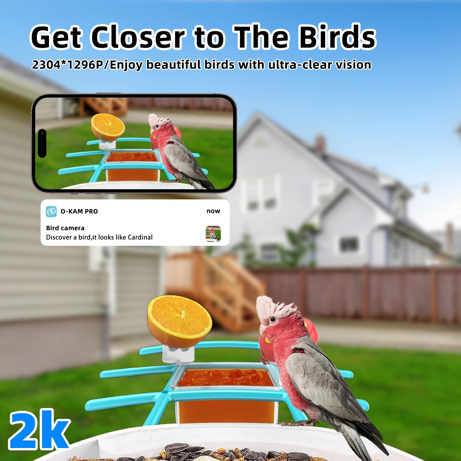 Smart Bird Feeder With Camera - 2.5K HD, AI Bird Recognition, Solar ...