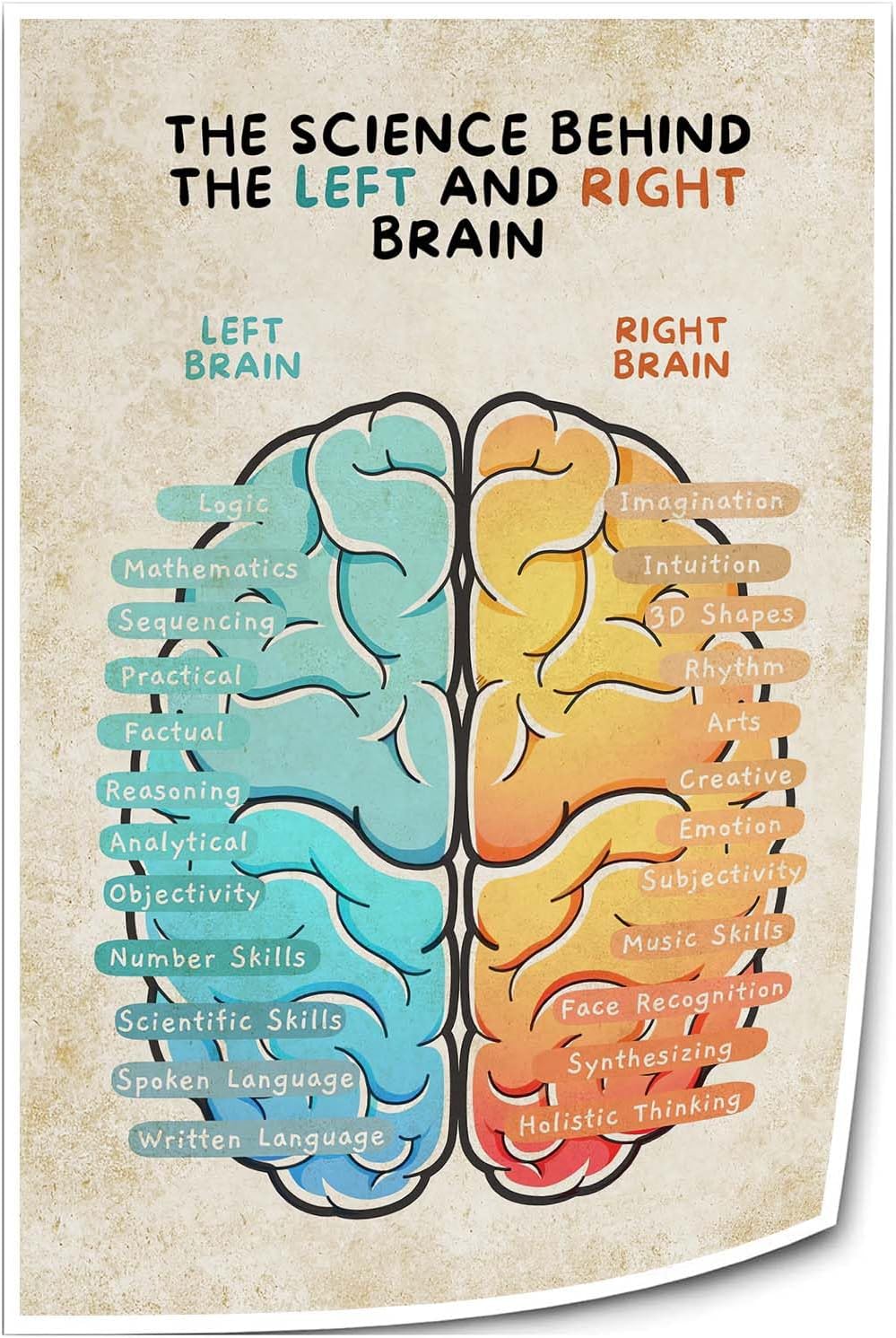Amazon.com: Greejoeq Human Brain Poster Mental Health Posters Left ...