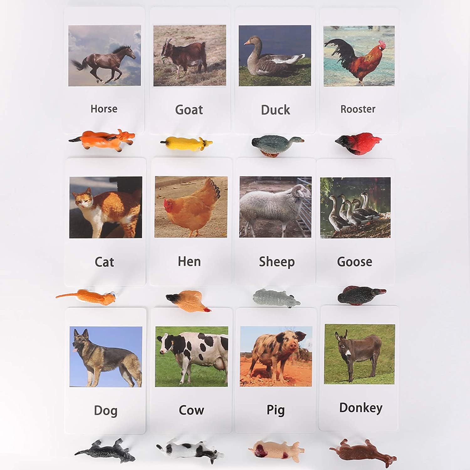 Yikko Montessori Animal Match Cards 48pcs – Insects and Animals ...