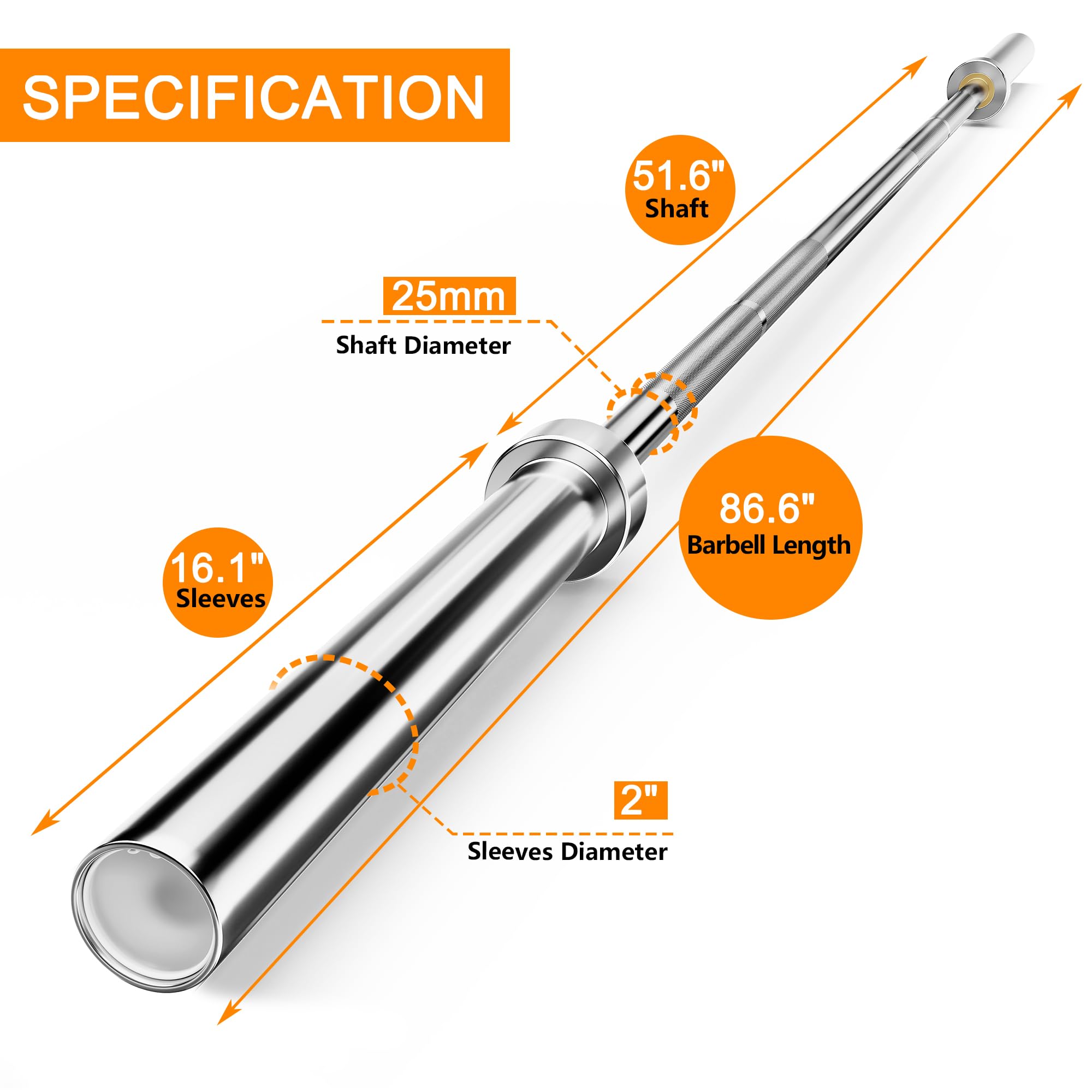Snapklik.com : Olympic Barbell Bar 2 Inch EZ Curl Bar For Biceps ...