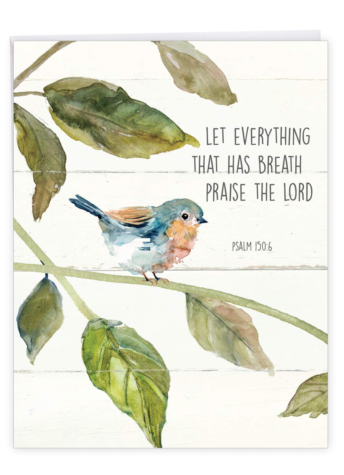 Bird Biblical Quotes Birds Of The Bible YouTube
