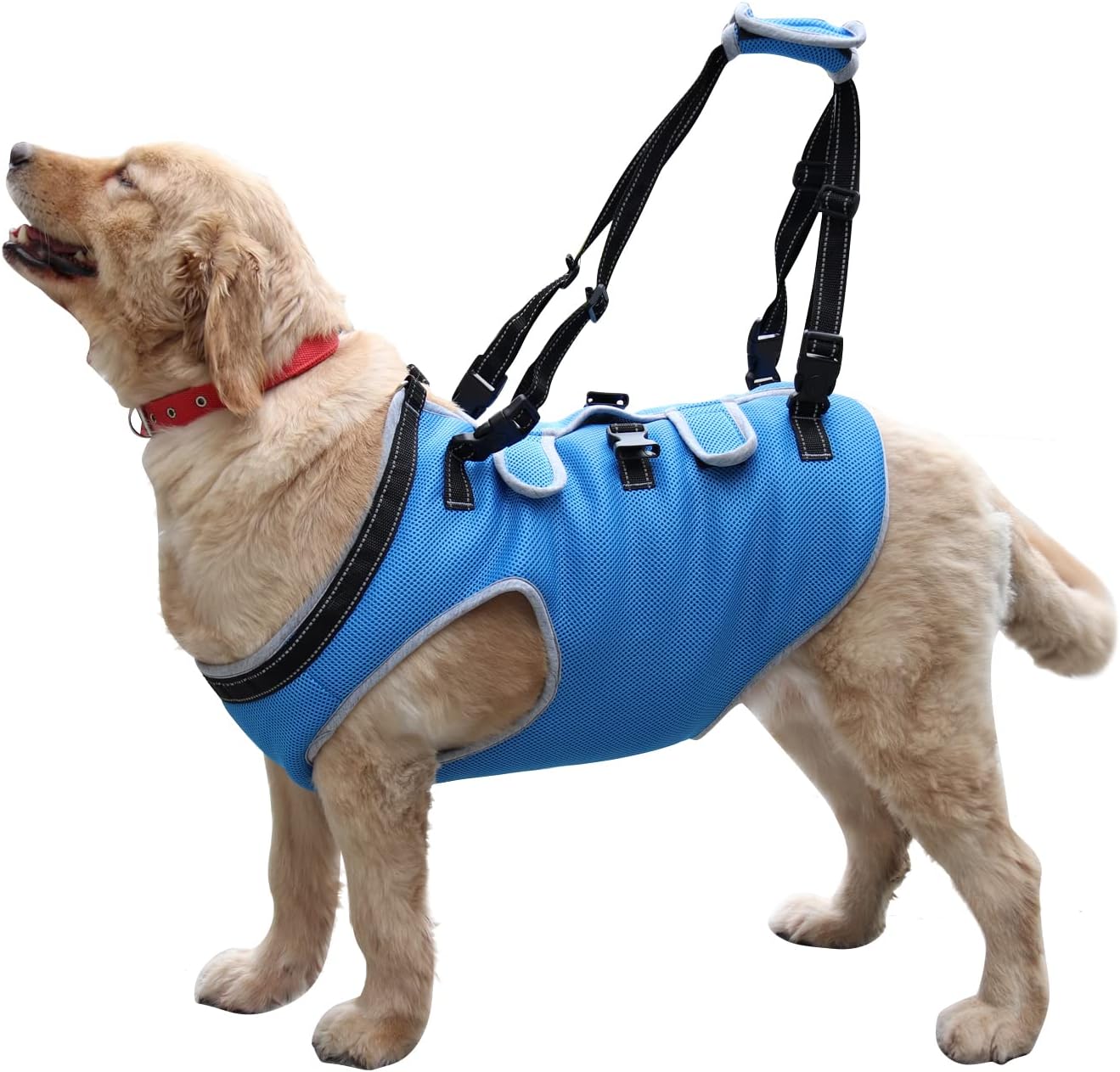 Amazon.com : Dog Lift Harness for Large Medium Small,Dog Support Vest ...
