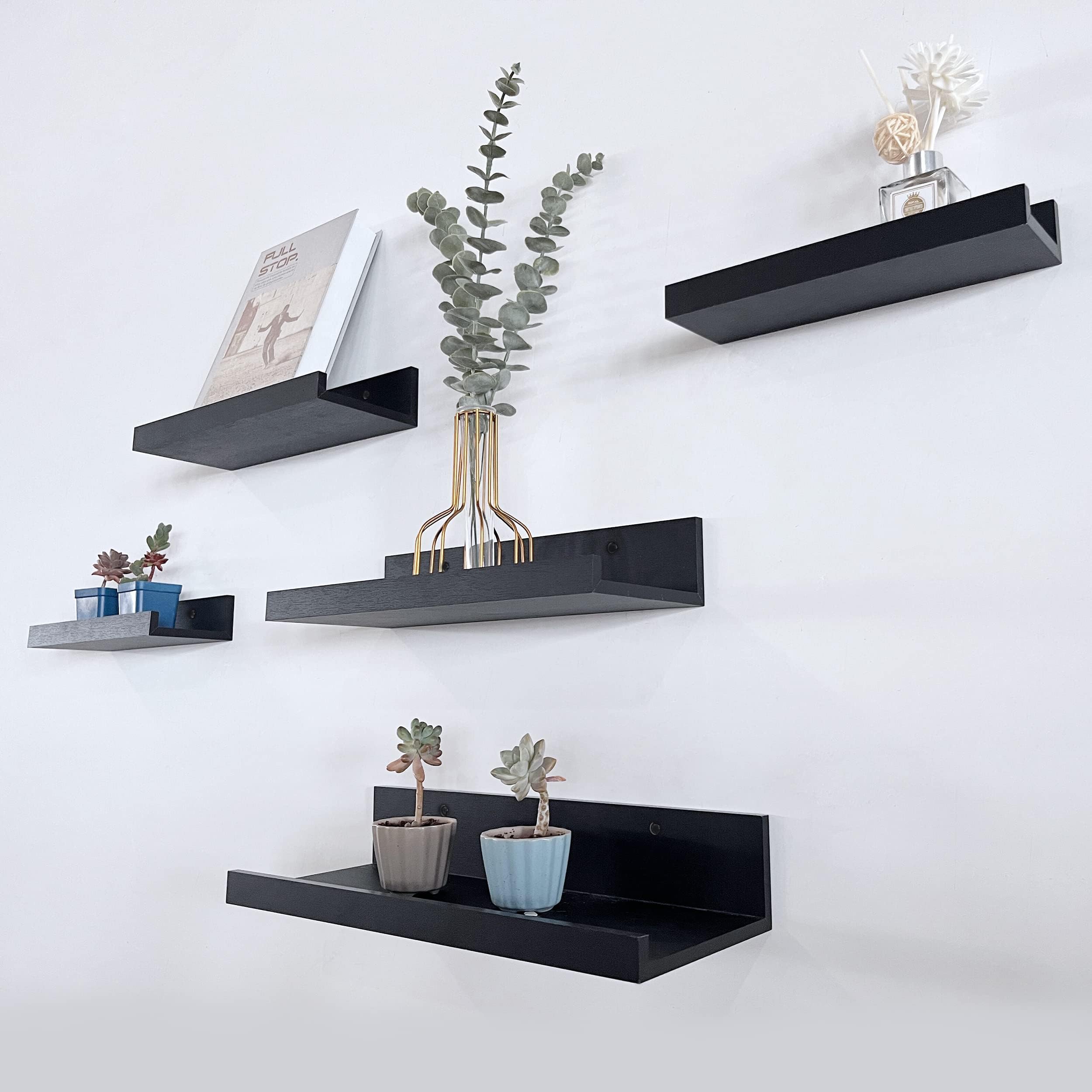 Amazon.com: Serwrsw Black Floating Shelves with Removable Insert Plate ...