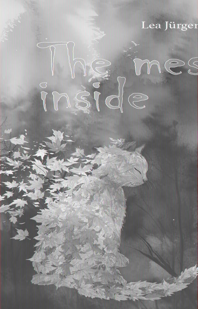 The mess inside : Jürgensen, Lea: Amazon.de: Bücher