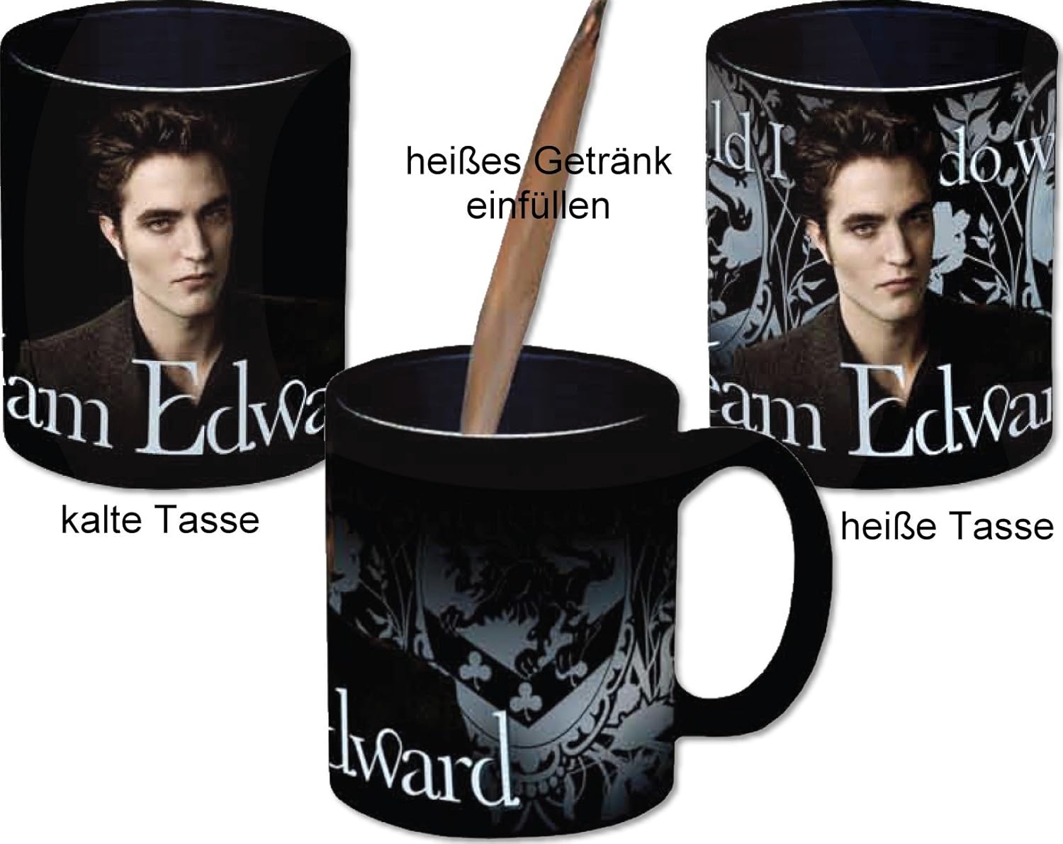 Amazon.com: NECA Twilight New Moon Team Edward and Cullen Flourish ...