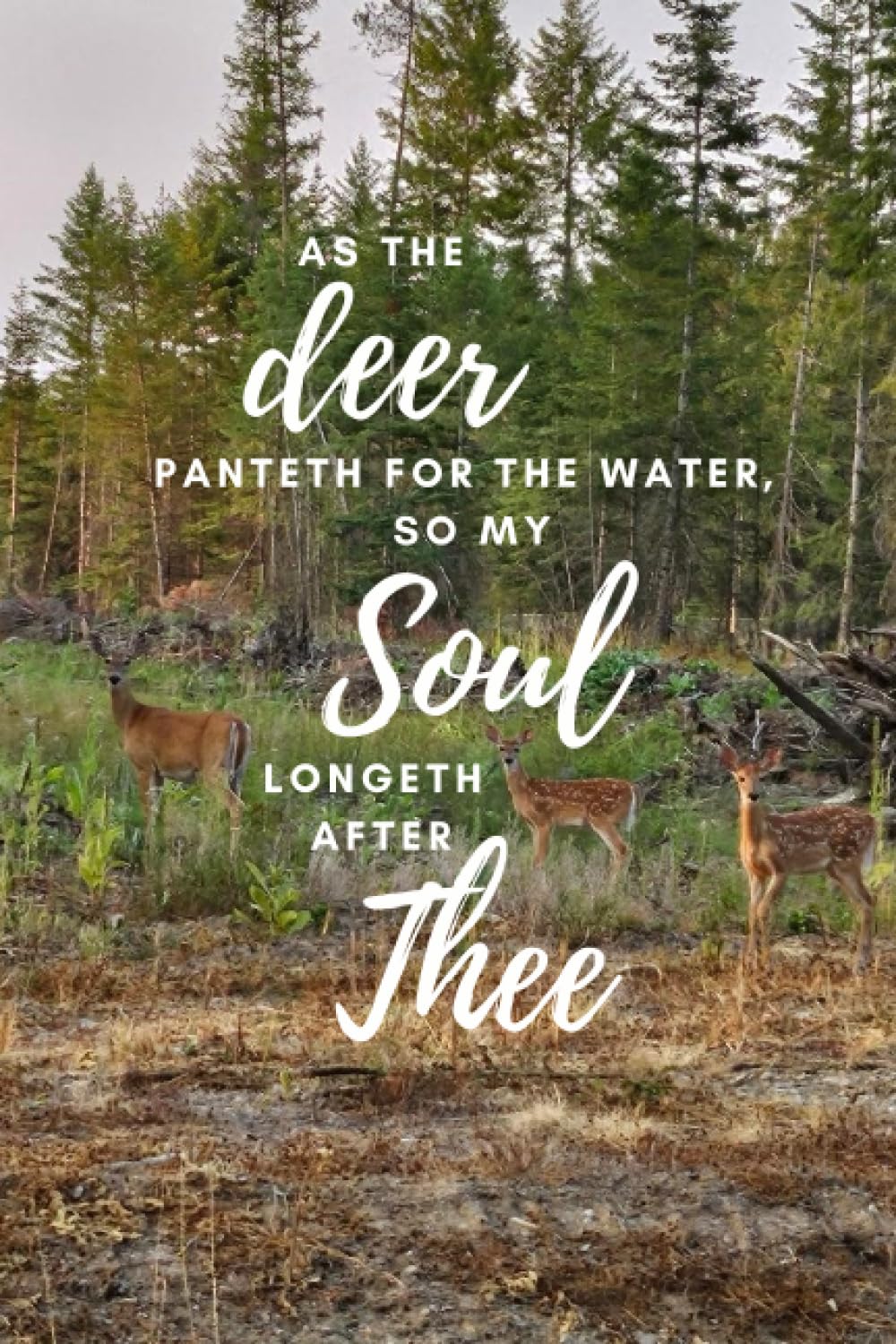 As The Deer Panteth For The Water So My Soul Longeth After Thee ...