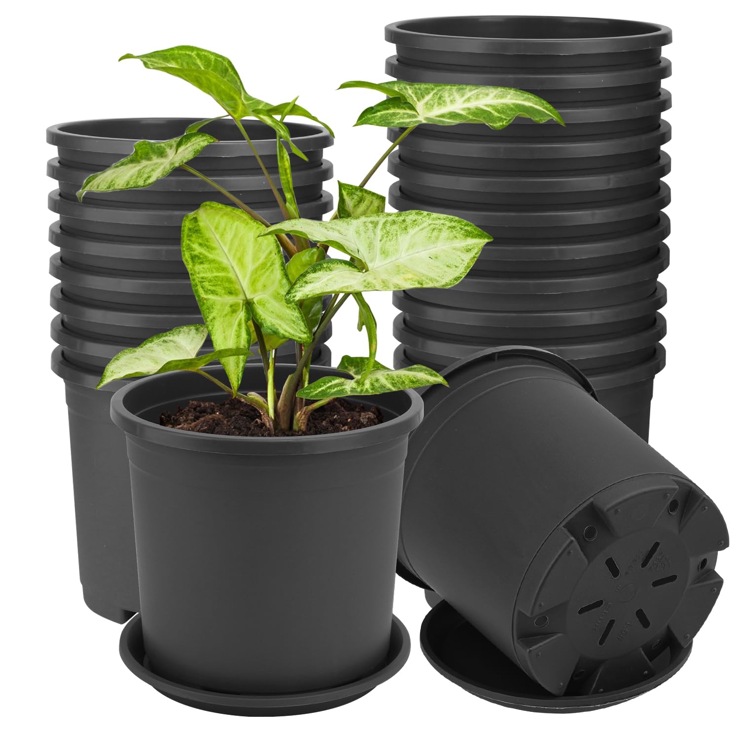 Amazon.com: IHDYPPEW 26 Pack 1 Gallon Nursery Pot, 6 Inch Garden Pots ...