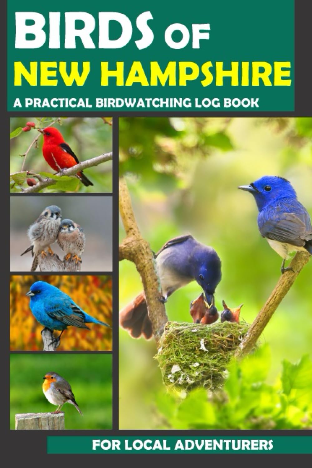 Birds of New Hampshire: Bird Watching of New Hampshire Log Book for ...