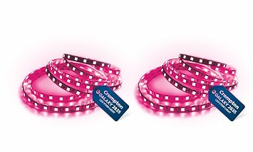 Buy Crompton 25W LED Strip Light | 5 Meter Pink Light | Roll with 300 ...
