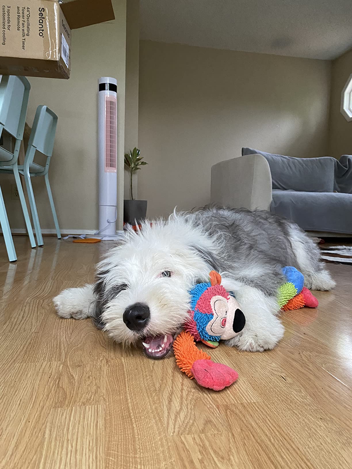 $3/mo - Finance Multipet International DMP37812 Multicrew Monkey Plush ...