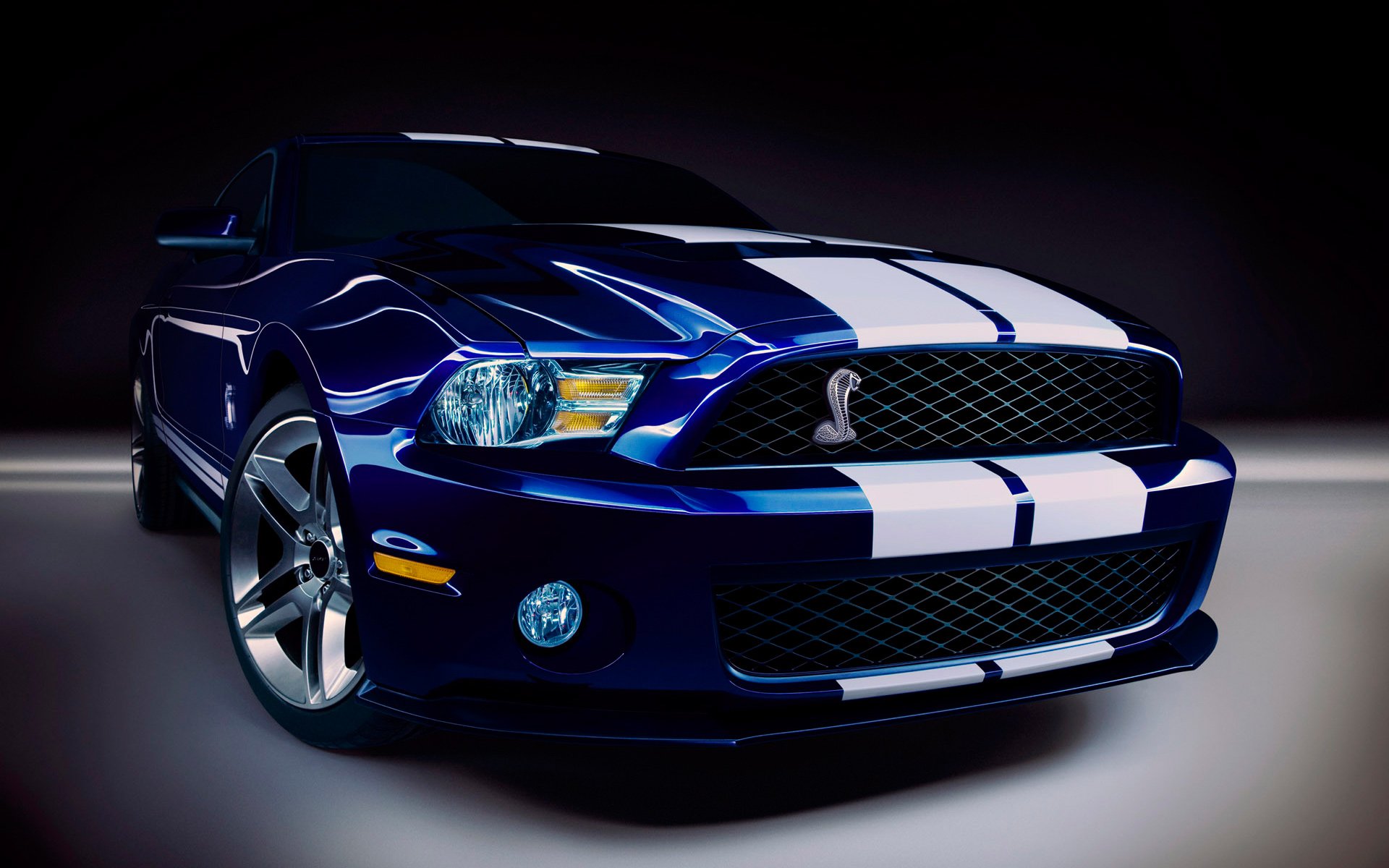 Amazon.com: Iconic Arts Laminated 42x24 Poster: Ford Shelby gt500 Wide ...